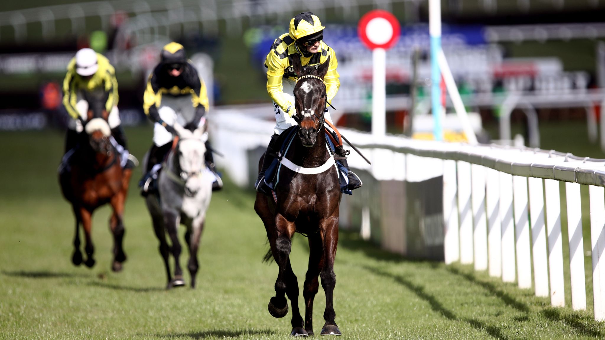 Sublime Shishkin cruises to Arkle at Cheltenham | Racing News | Sky Sports