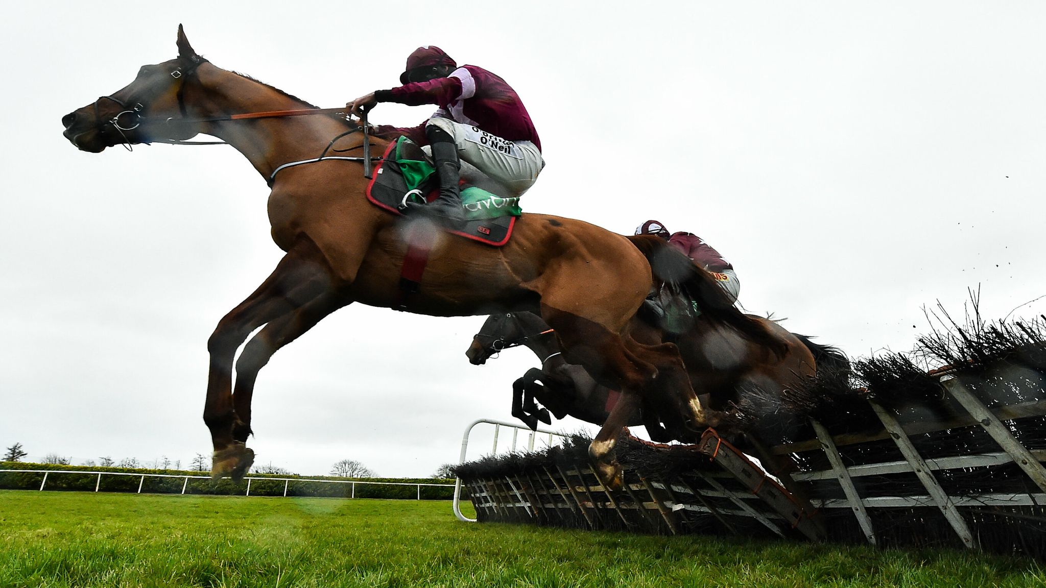 Cheltenham Festival: Sky Sports Racing names 10 horses to follow in the ...