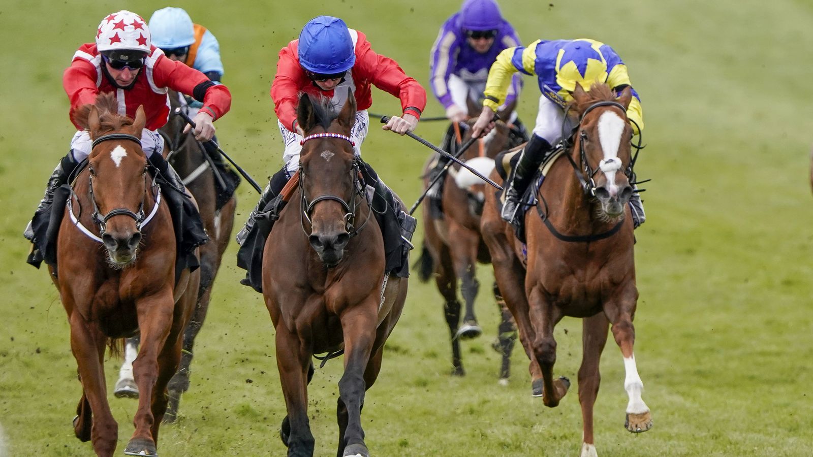 Sacred success in Nell Gwyn Stakes at Newmarket | Racing News | Sky Sports