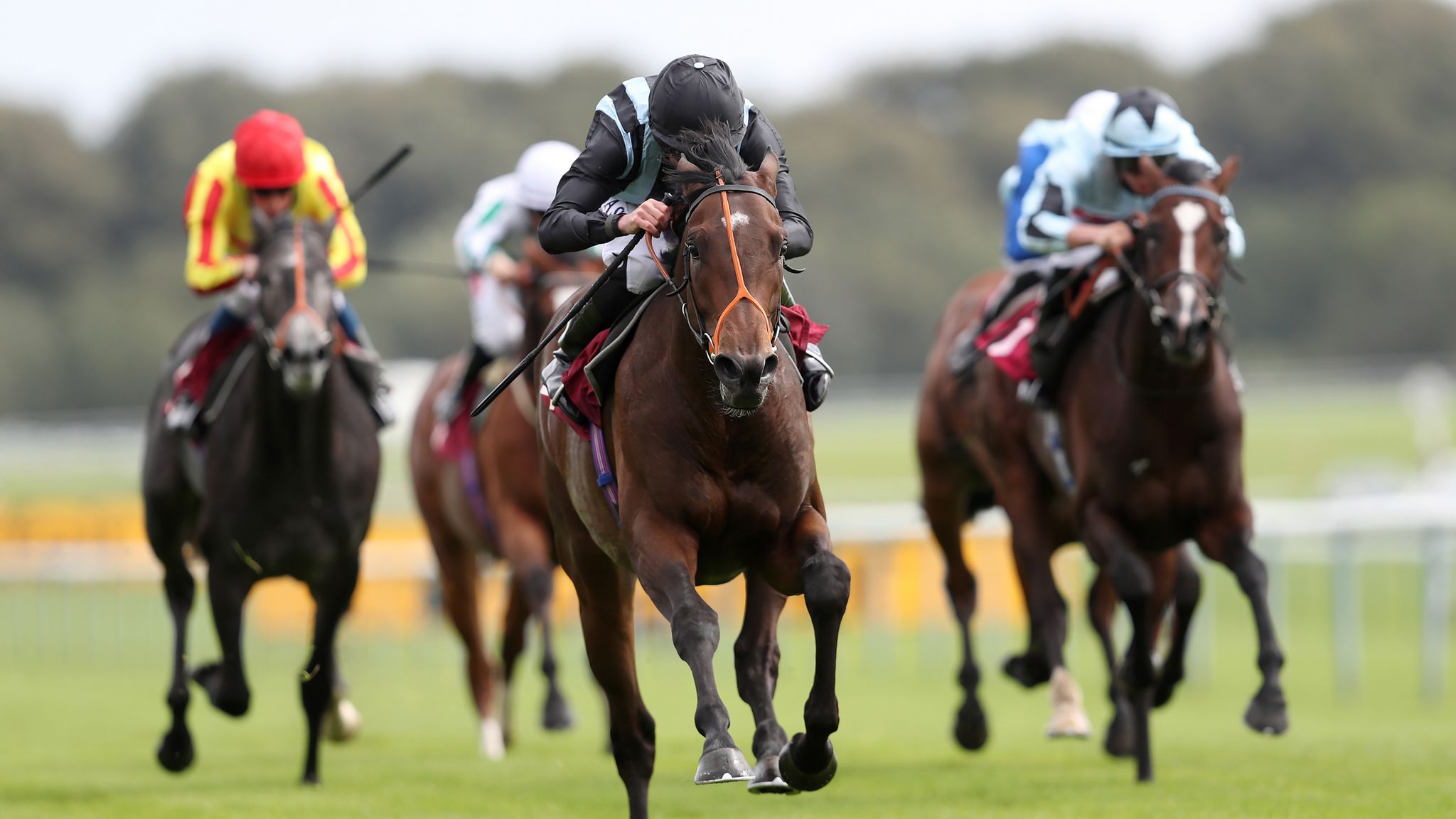 Fancy Man takes Feilden test on seasonal bow | Racing News | Sky Sports