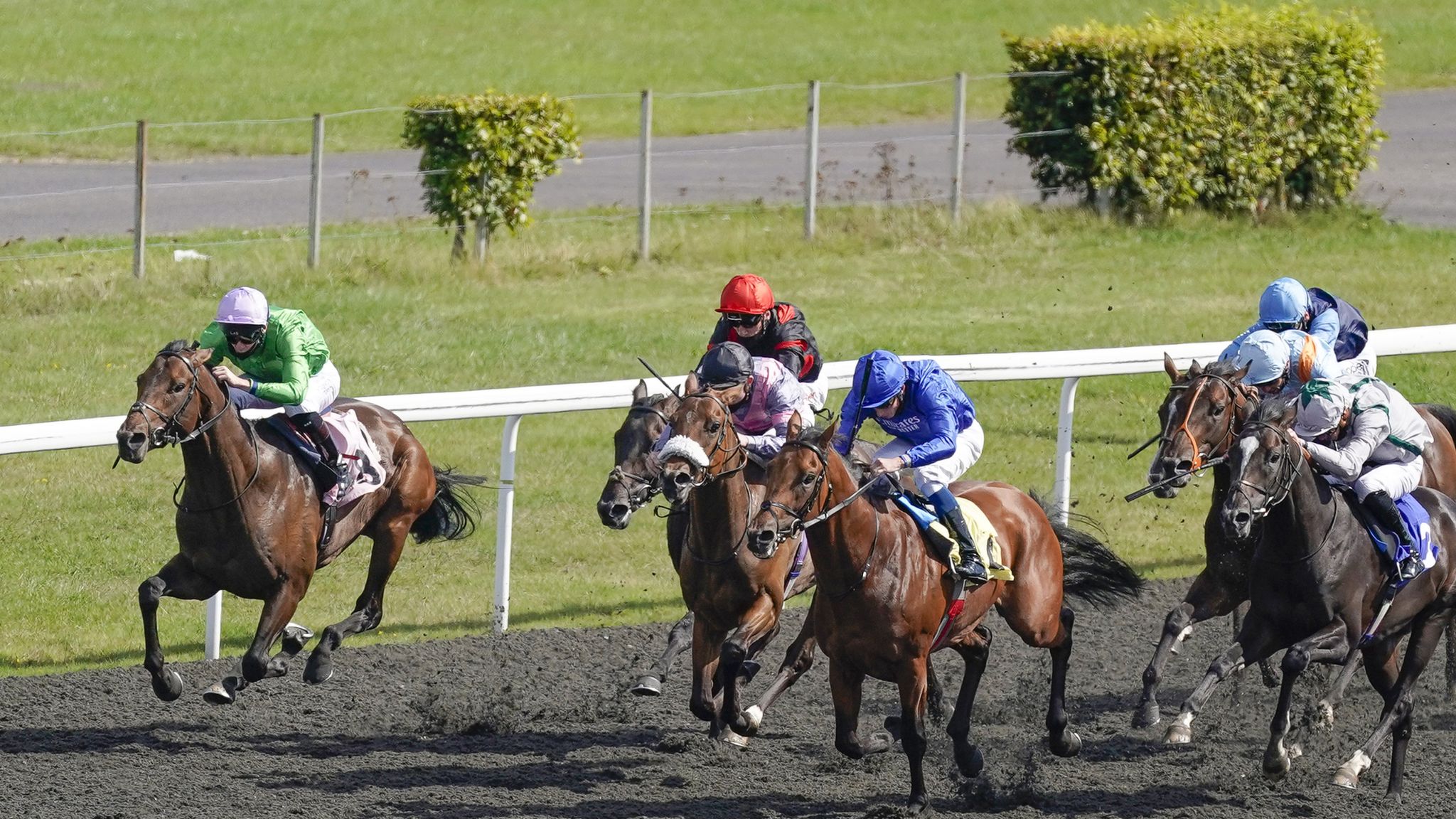 Uncle Bryn goes on trial for Classic glory at Epsom | Racing News | Sky ...