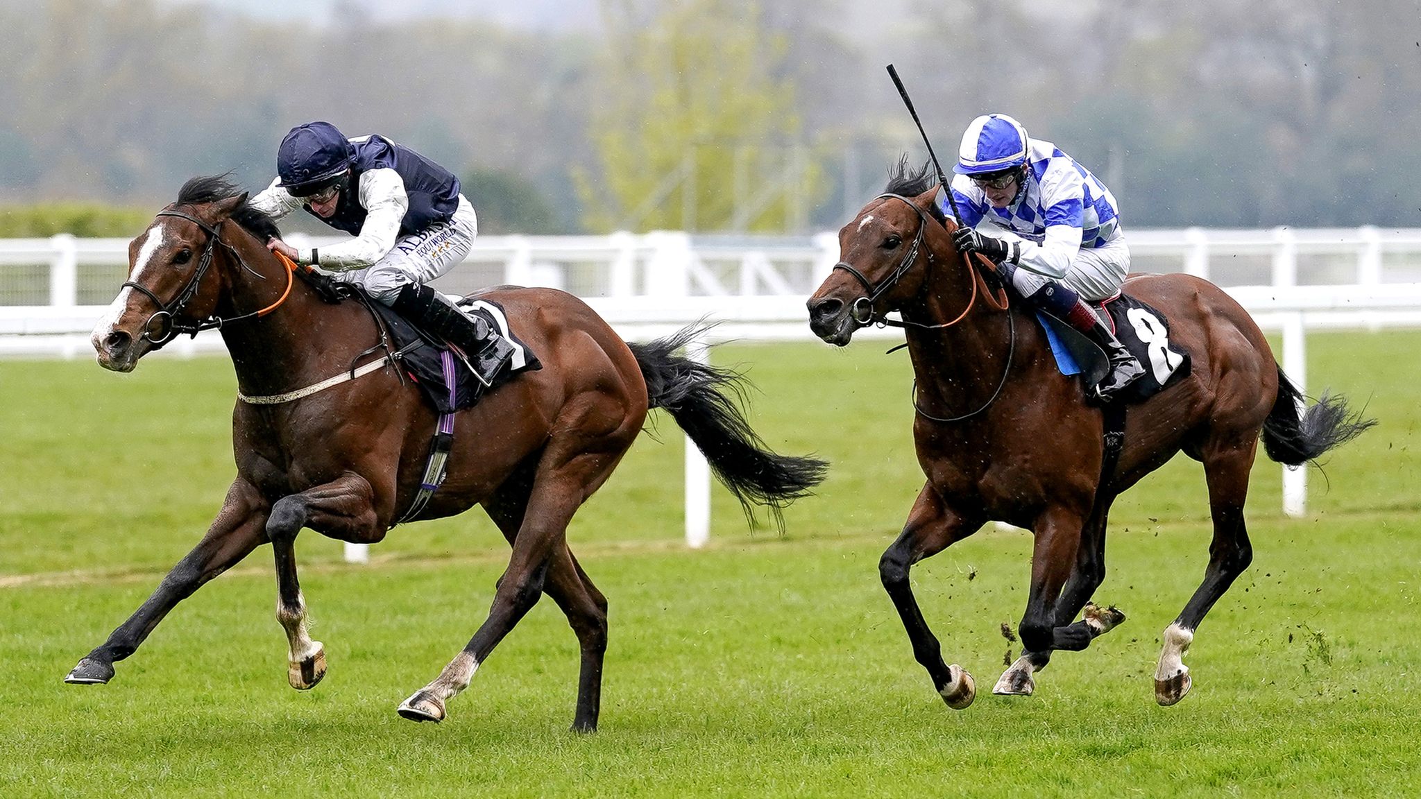 Ascot Champions Day: David Evans confident Rohaan can mix it with the ...