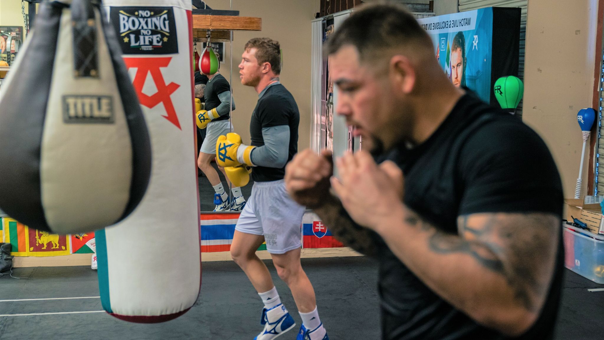 Dillian Whyte says Andy Ruiz Jr has taken 'garbage fight' vs Chris ...