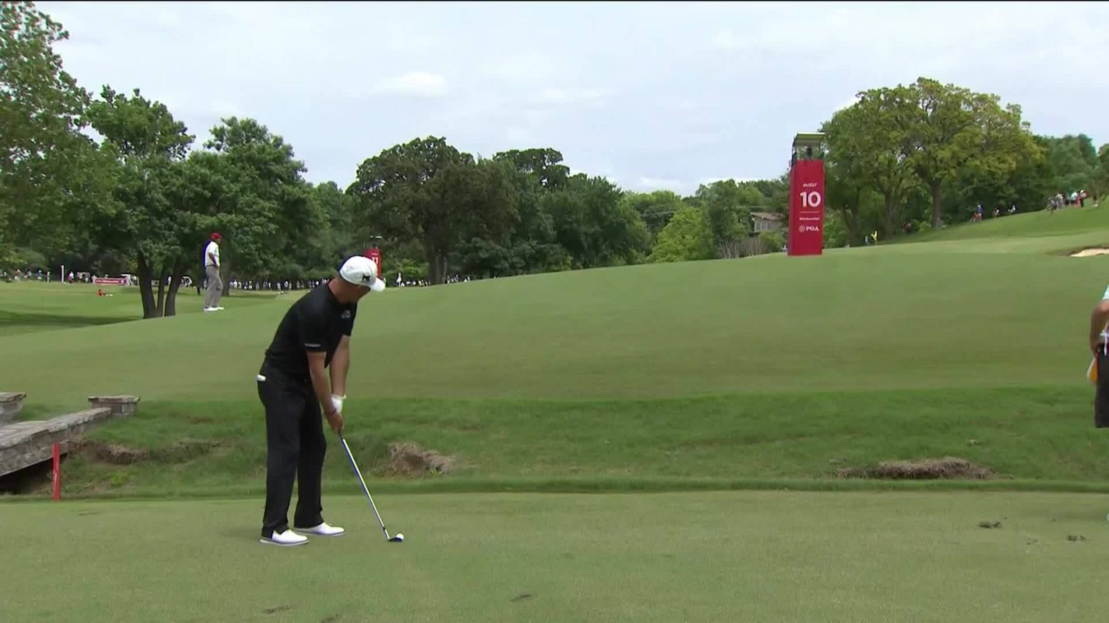 Senior PGA: Cejka's winning highlights | Golf News | Sky Sports