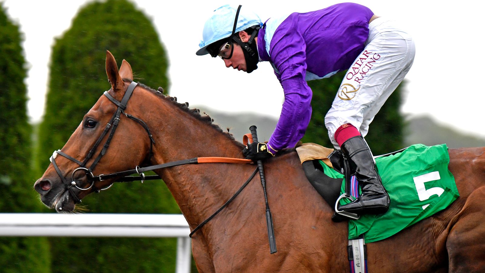 Tribal up for the Bronte Cup at York | Racing News | Sky Sports