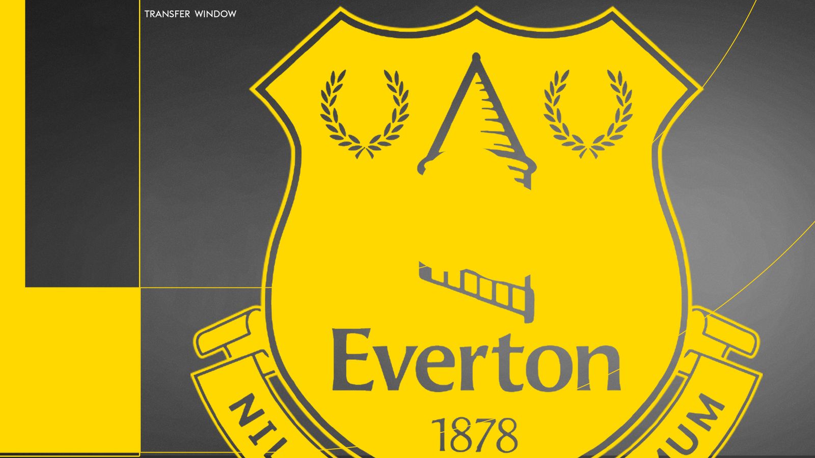 Everton: The summer transfer window and what they need to do | Football ...