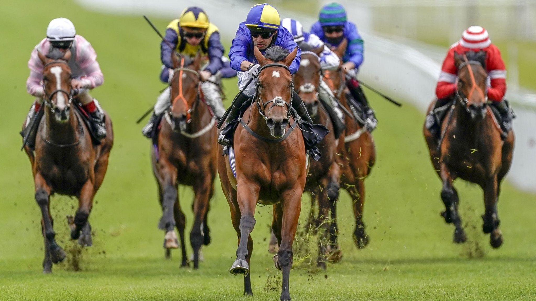 William Hill Summer Stakes: Ed Crisford preparing Flotus and Without A ...