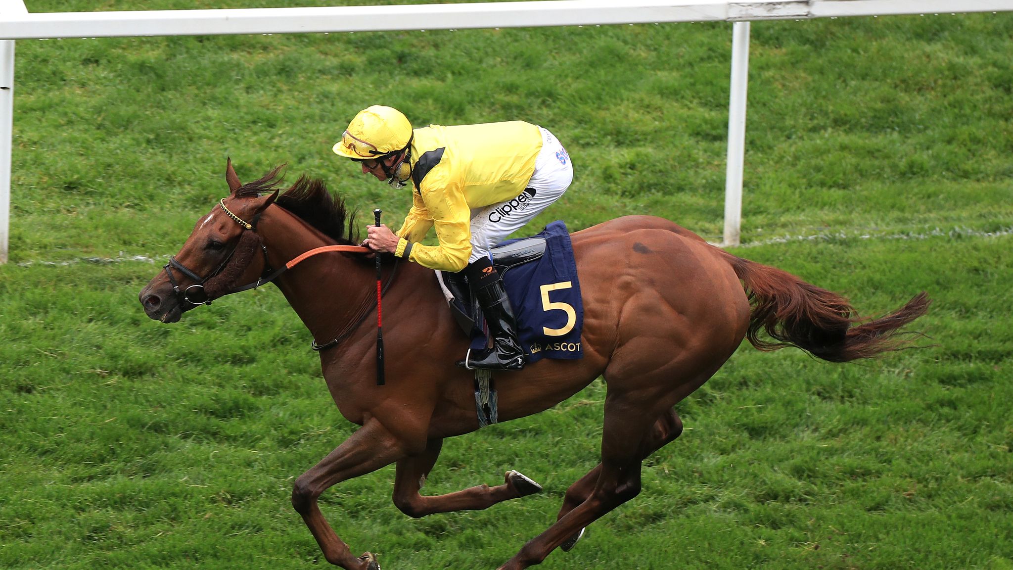 Addeybb retired: William Haggas calls time on star's career after ...