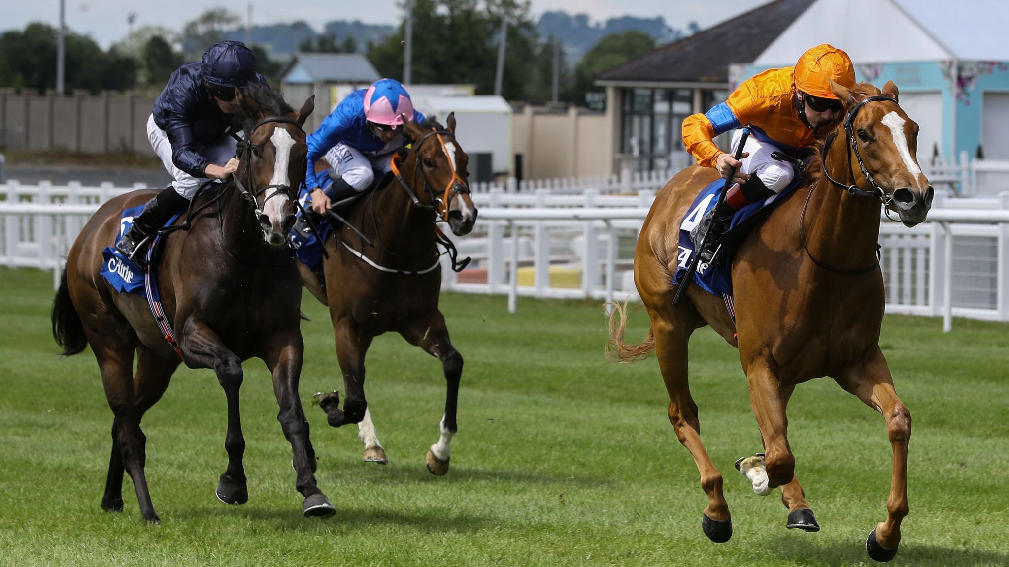 Keeneland Phoenix Stakes: Fozzy Stack eyeing Go Bears Go rematch for ...