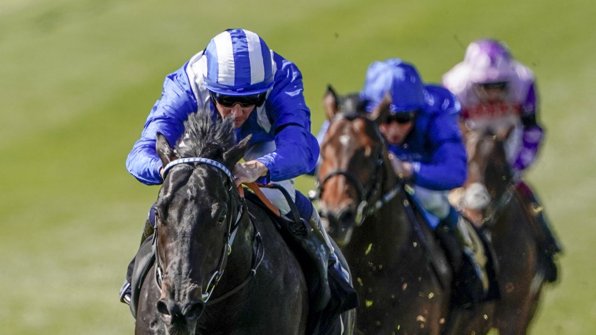 Shadwell Stud to reduce operation with focus on quality as yearlings ...