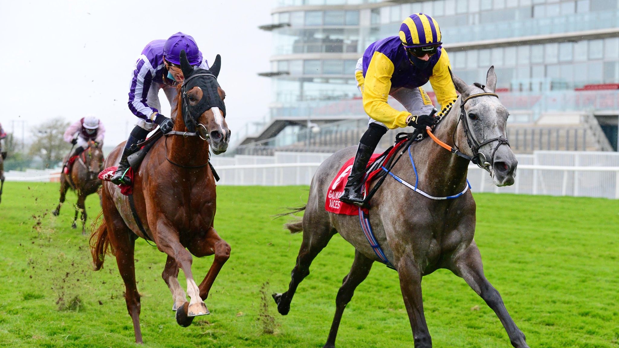 Princess Zoe likely to chart direct route to ParisLongchamp for Cadran ...