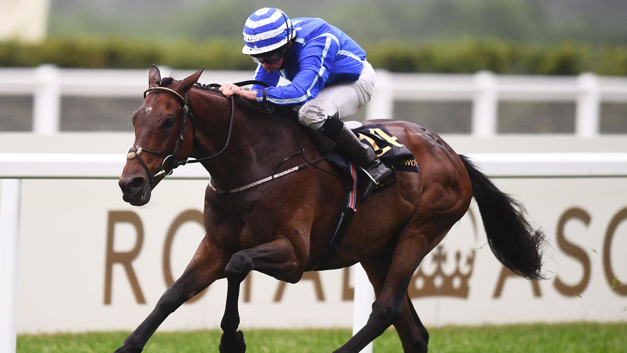 Stratum shines in Royal Ascot finale for Ryan Moore | Racing News | Sky ...