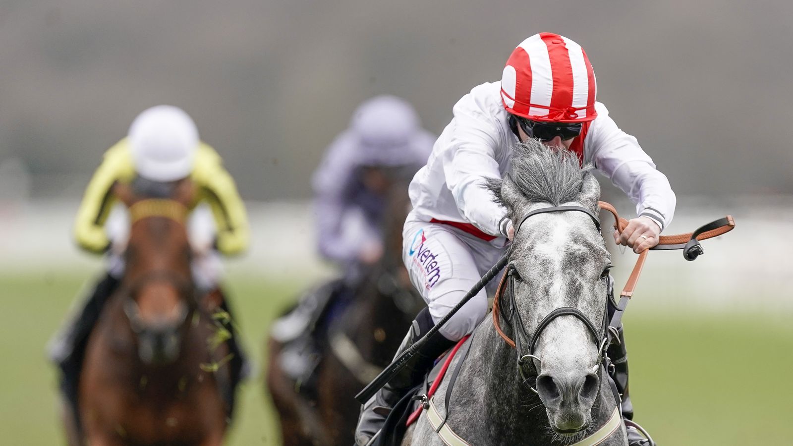 Ascot Summer Mile: Horse-by-horse guide plus Sky Sports Racing pundit ...
