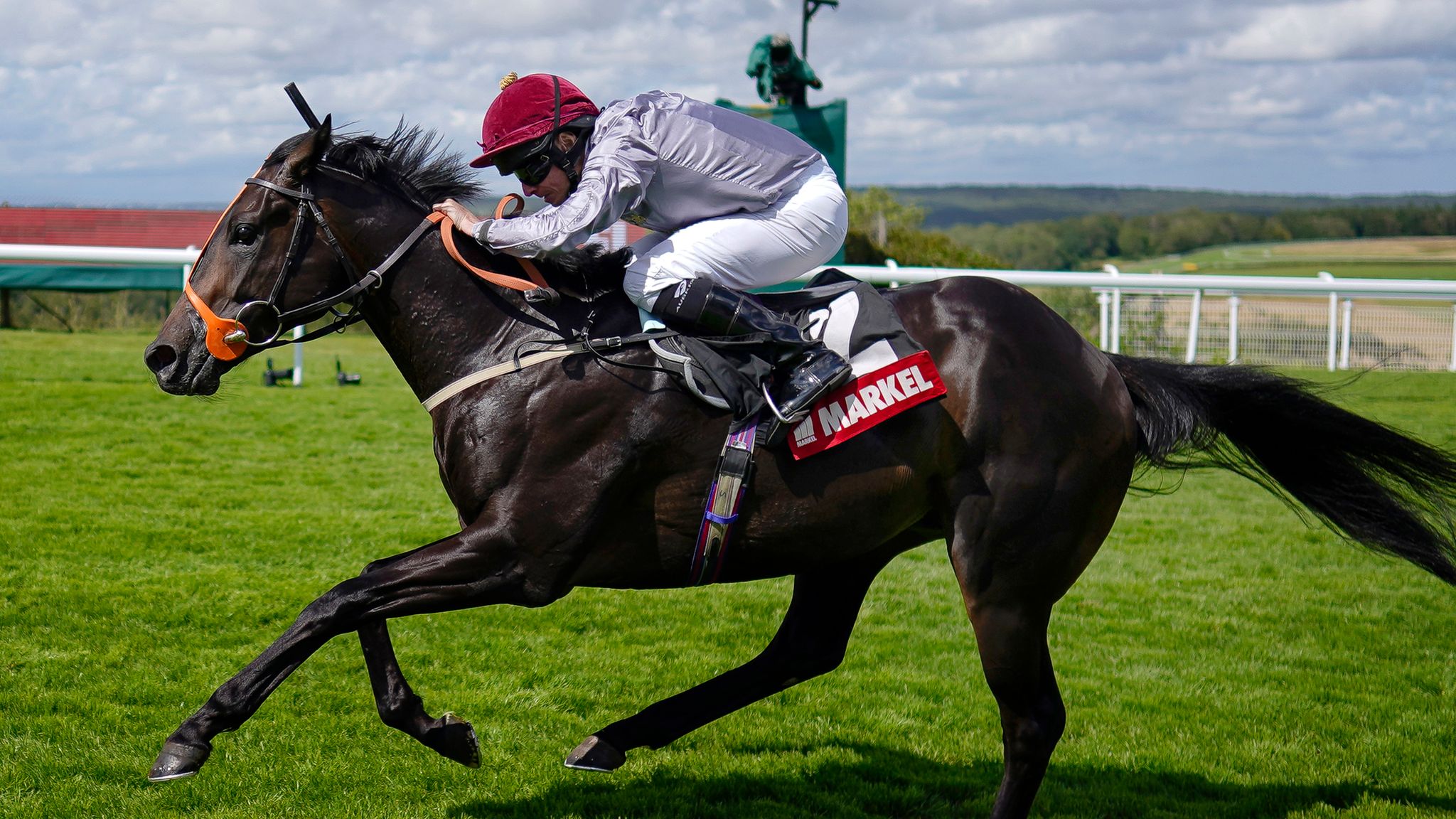 Armor bolts up in Molecomb Stakes for Richard Hannon and Ryan Moore ...