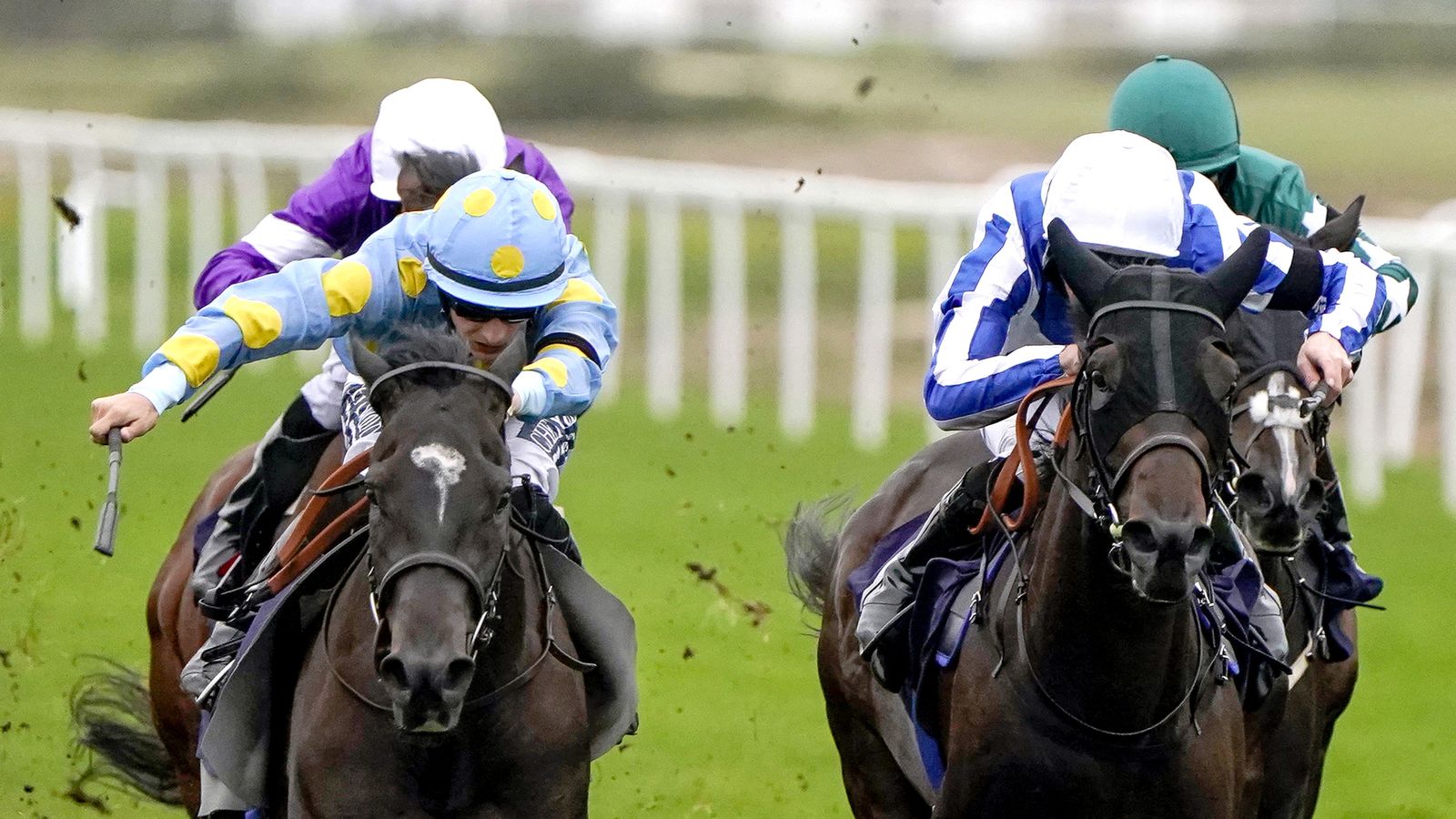 Alex Hammond blog: Racing League and Shergar Cup a welcome change of ...