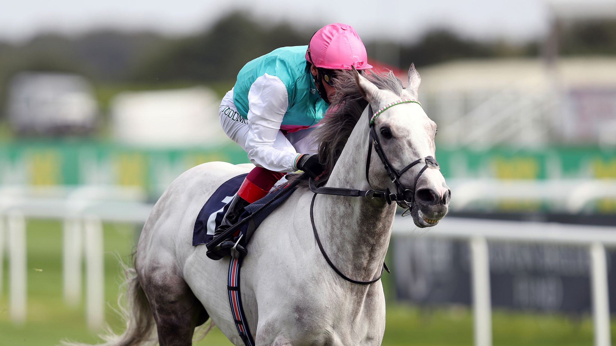 St Leger winner Logician retired to stand as National Hunt stallion at ...