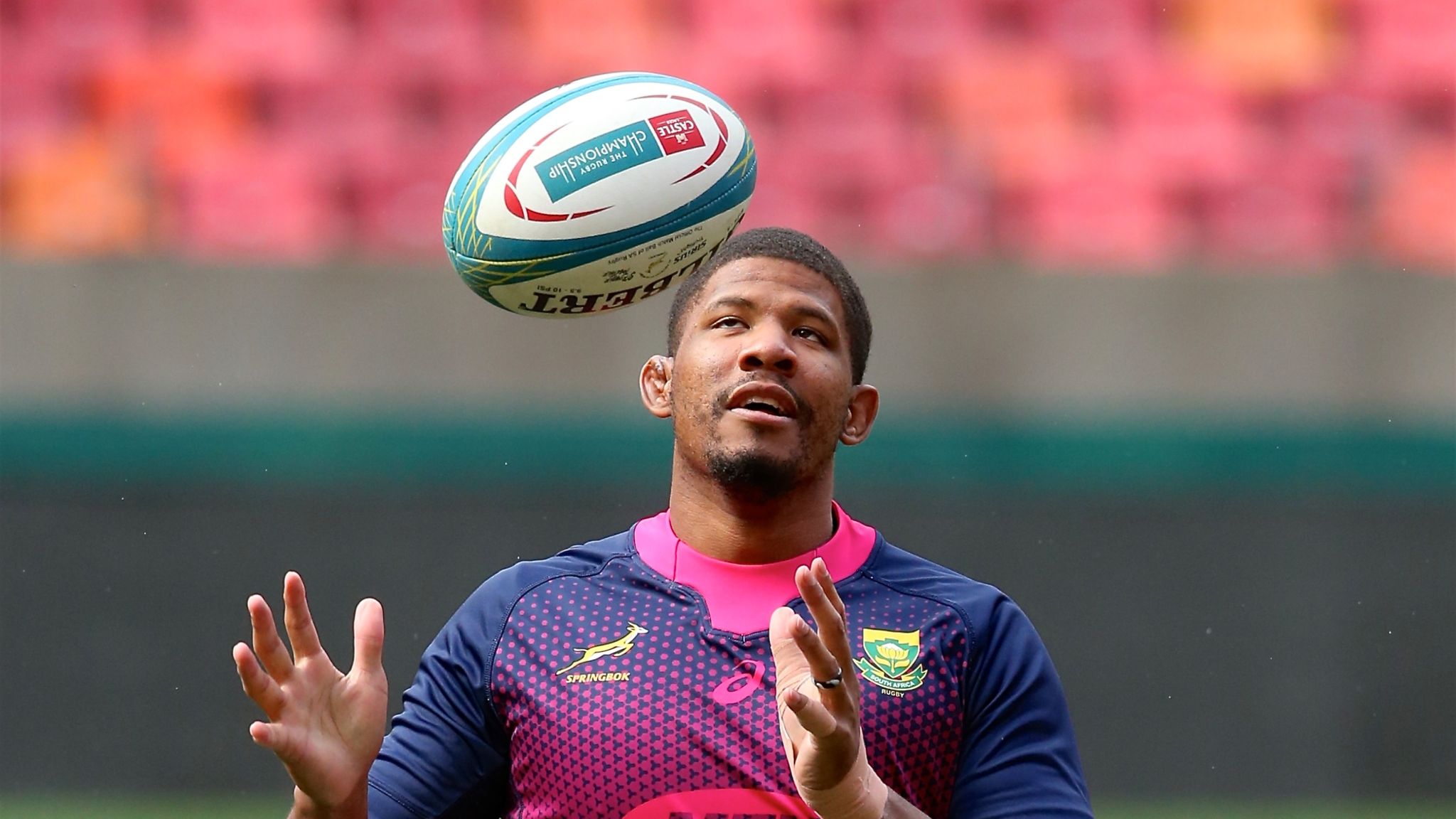 South Africa recall many of their Lions series stars for Argentina ...