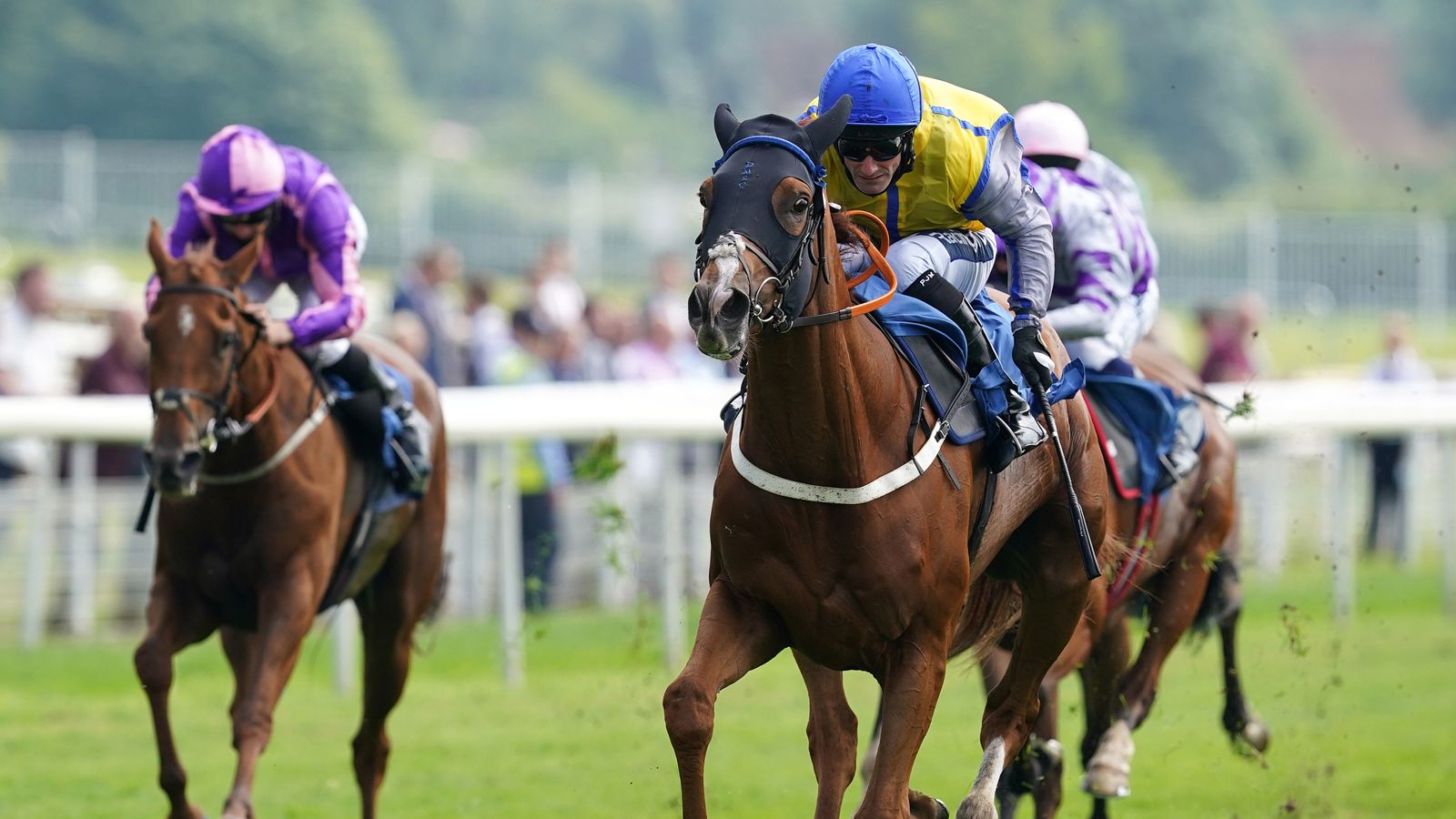 Cesarewitch at Newmarket in the mix for Donald McCain-trained ...