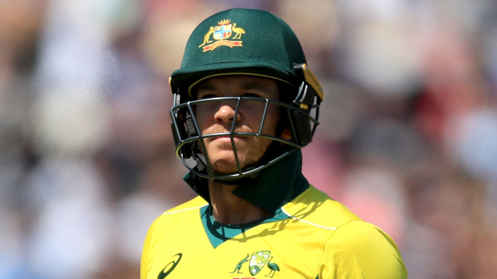 Australia captain Tim Paine says it's 'hard to see' how Afghanistan can ...