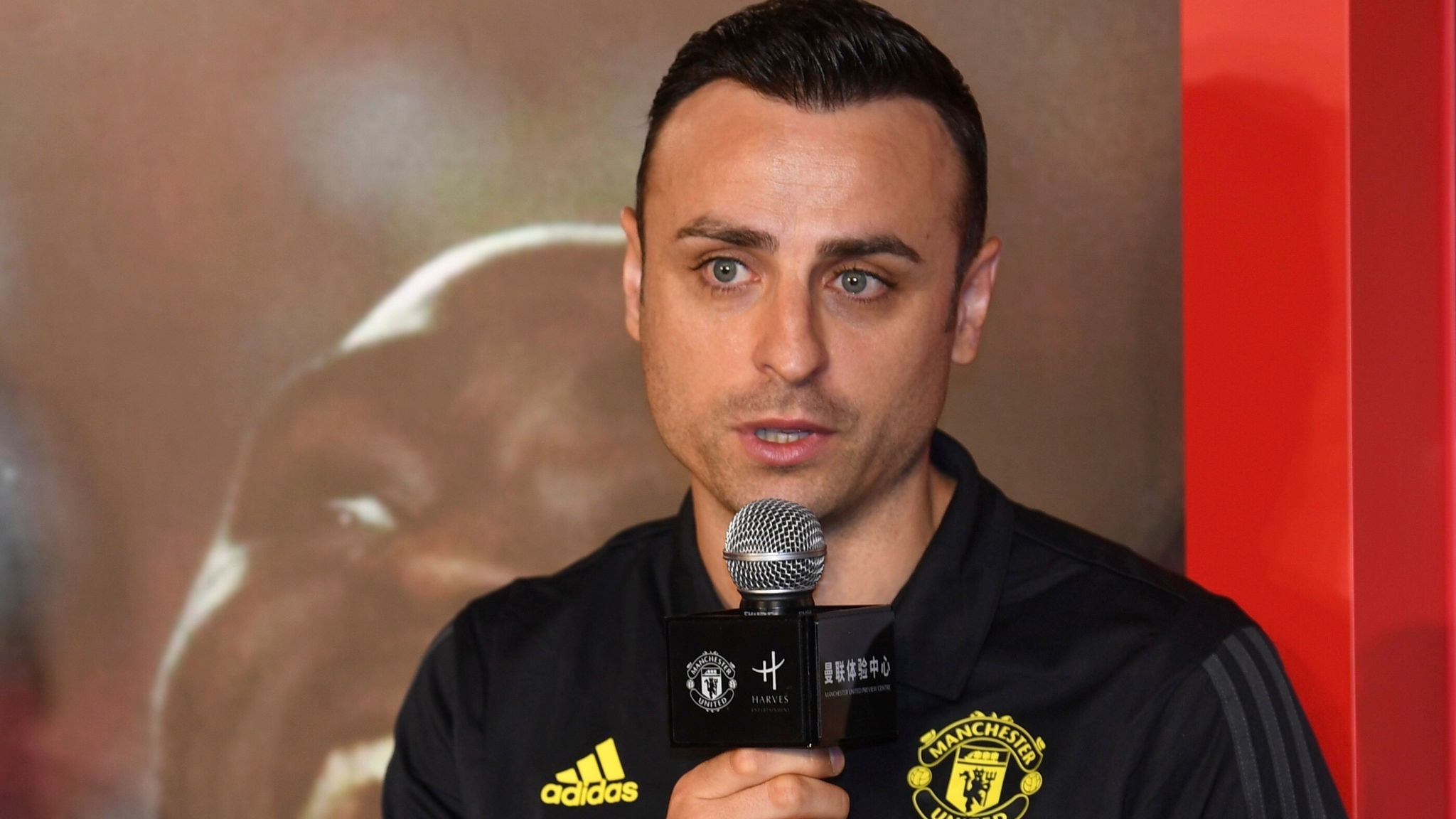 Dimitar Berbatov: Court rules in favour of former Man Utd and Tottenham ...