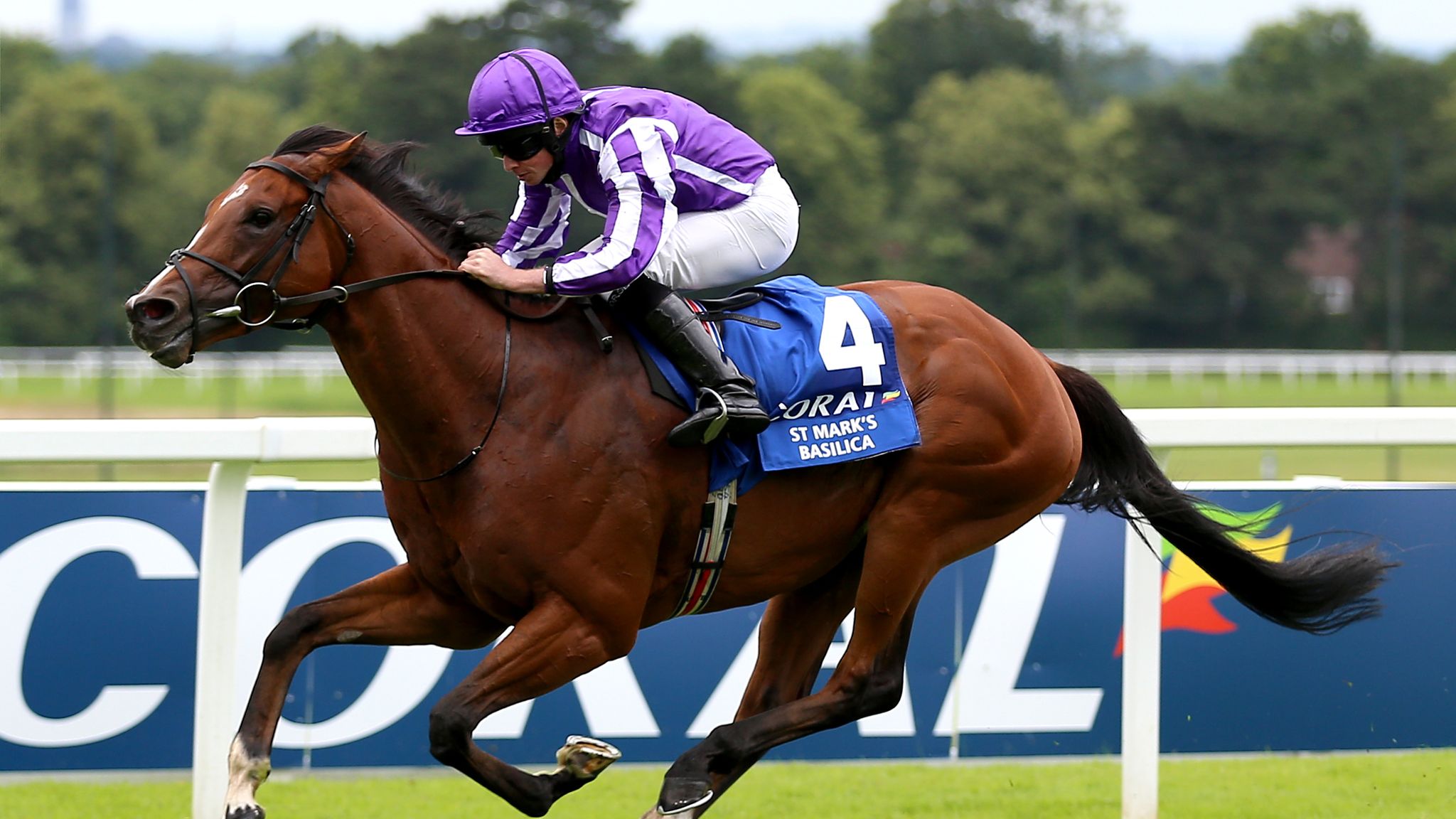 Irish Champion Stakes winner St Mark’s Basilica named Cartier Horse of ...