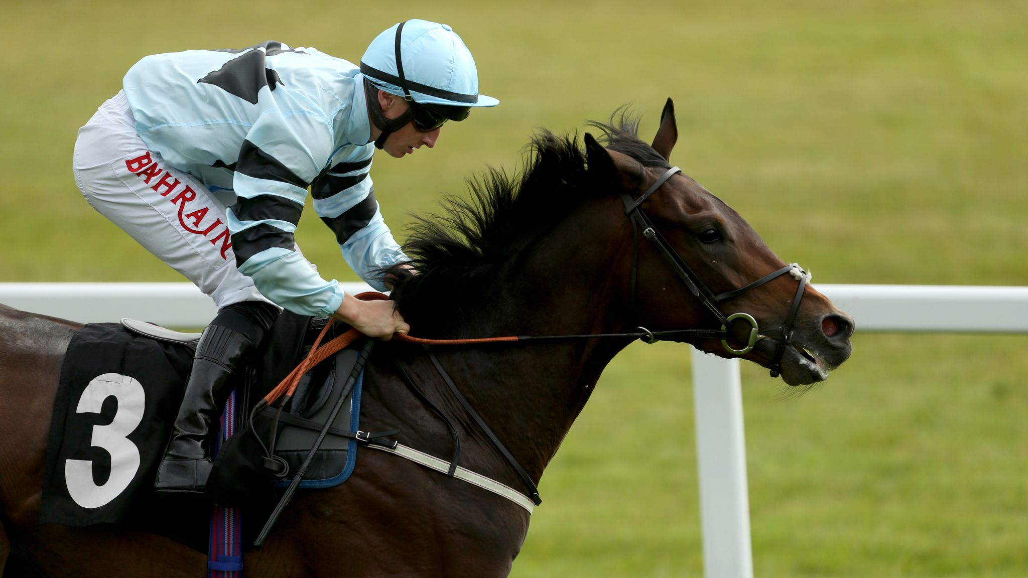 Epsom Derby hope Zechariah likely to be finished for season after ...