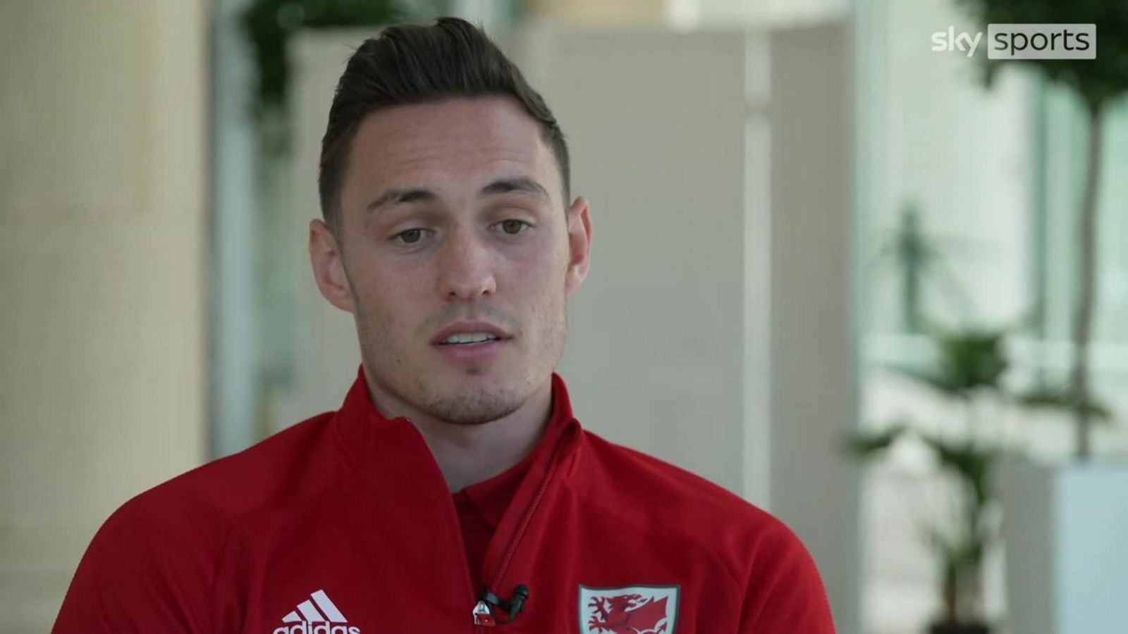 Connor Roberts says everyone knows Gareth Bale won't be around forever ...