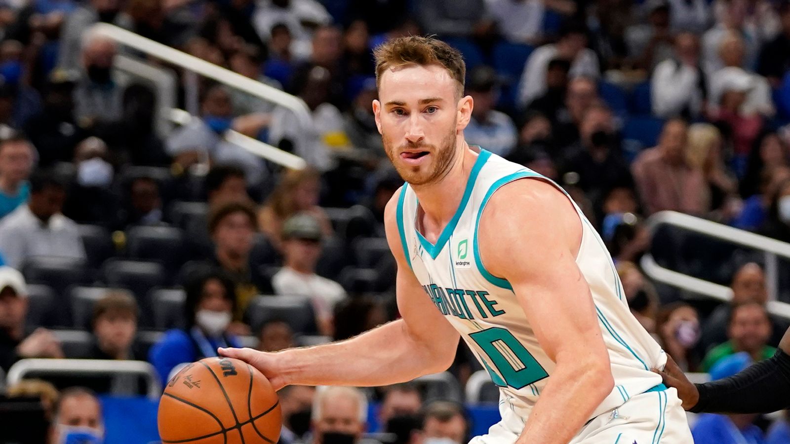 Full Focus: Hornets make fine start to season | NBA News | Sky Sports