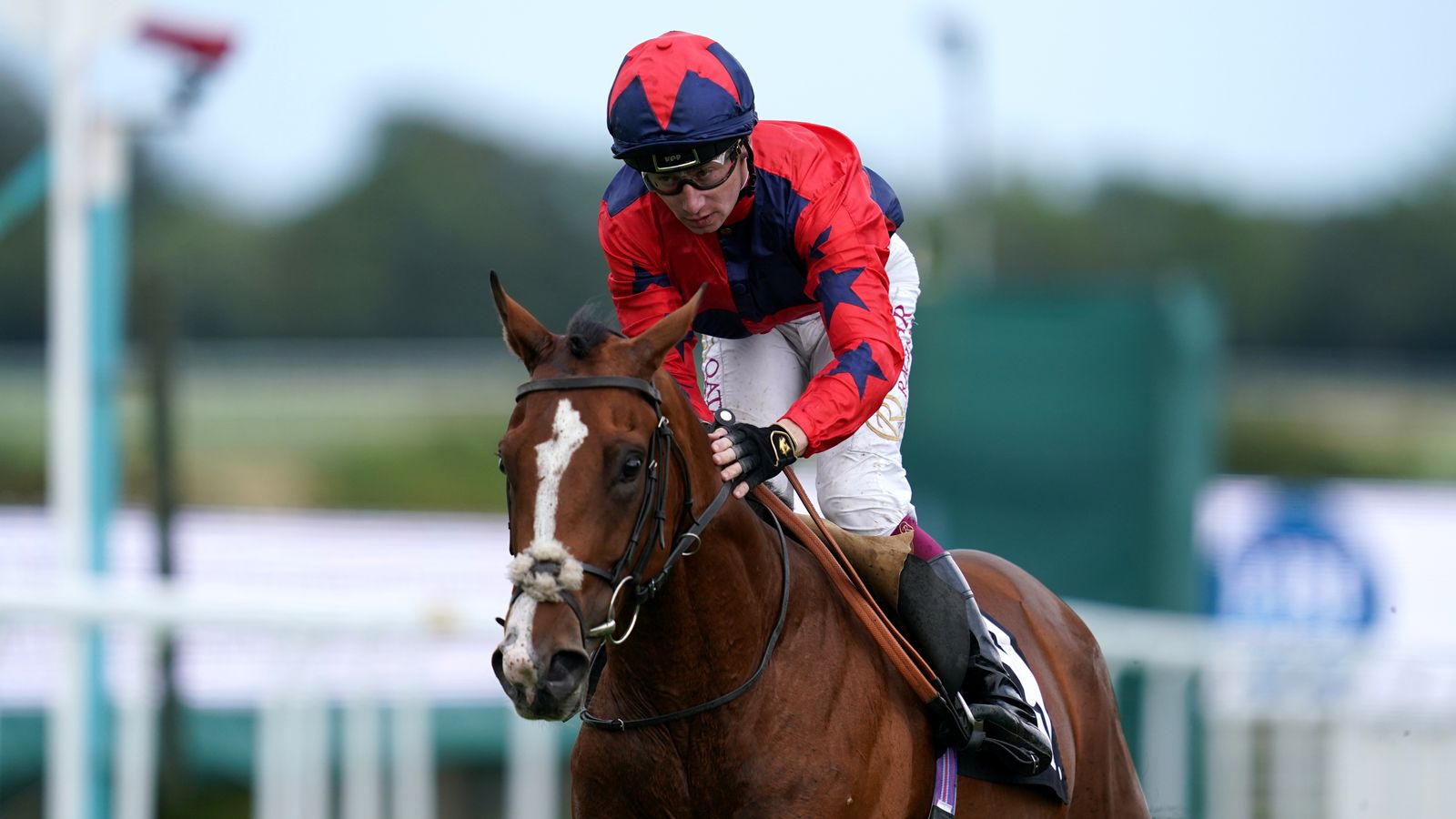 Andrew Balding expecting ‘very competitive’ run from Imperial Fighter ...