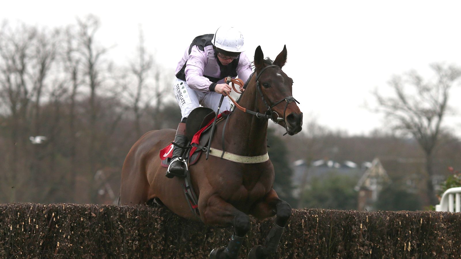 Moore thrilled as Larry seals Ascot double | Racing News | Sky Sports