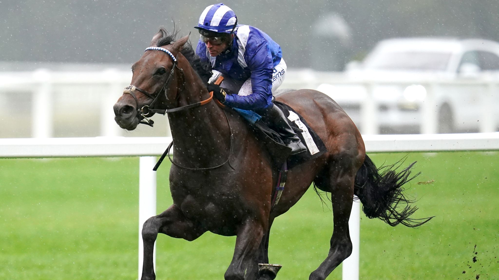 Owen Burrows joy as Hukum wins Cumberland Lodge | Racing News | Sky Sports