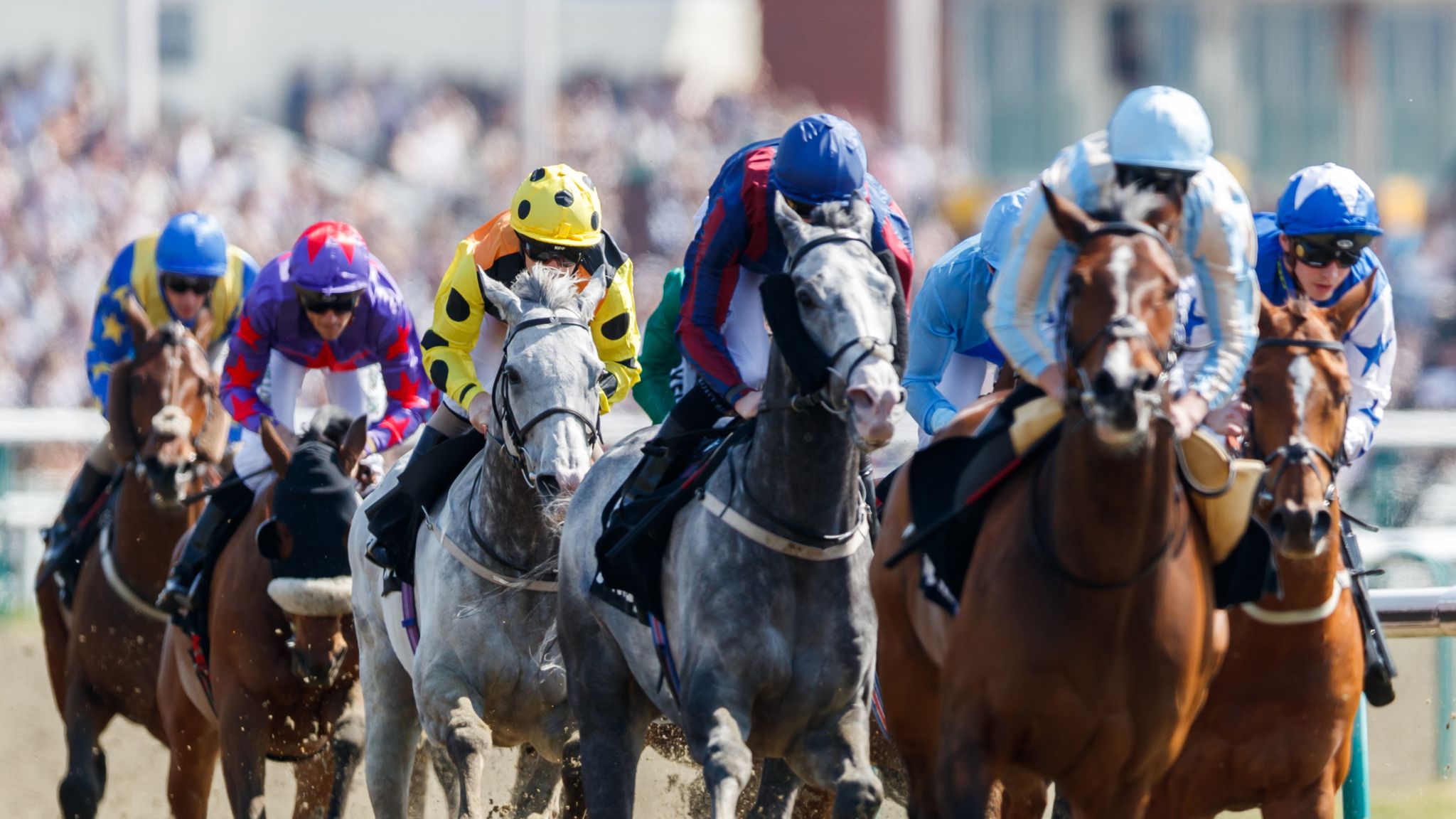 All-Weather Finals Day: Newcastle takes over from Lingfield as host ...