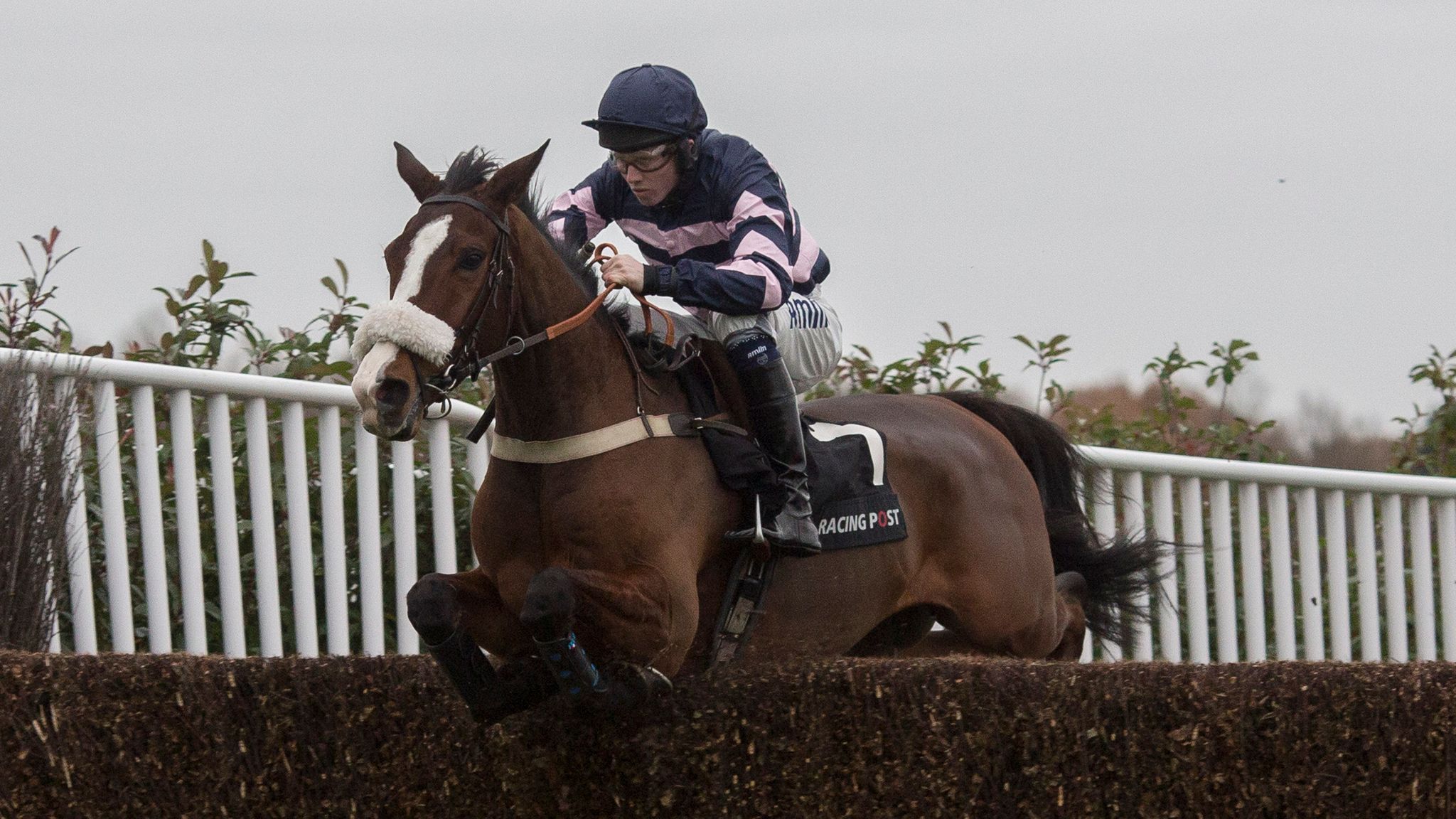 Josh Moore suffers broken ribs and fractured back after fall at ...