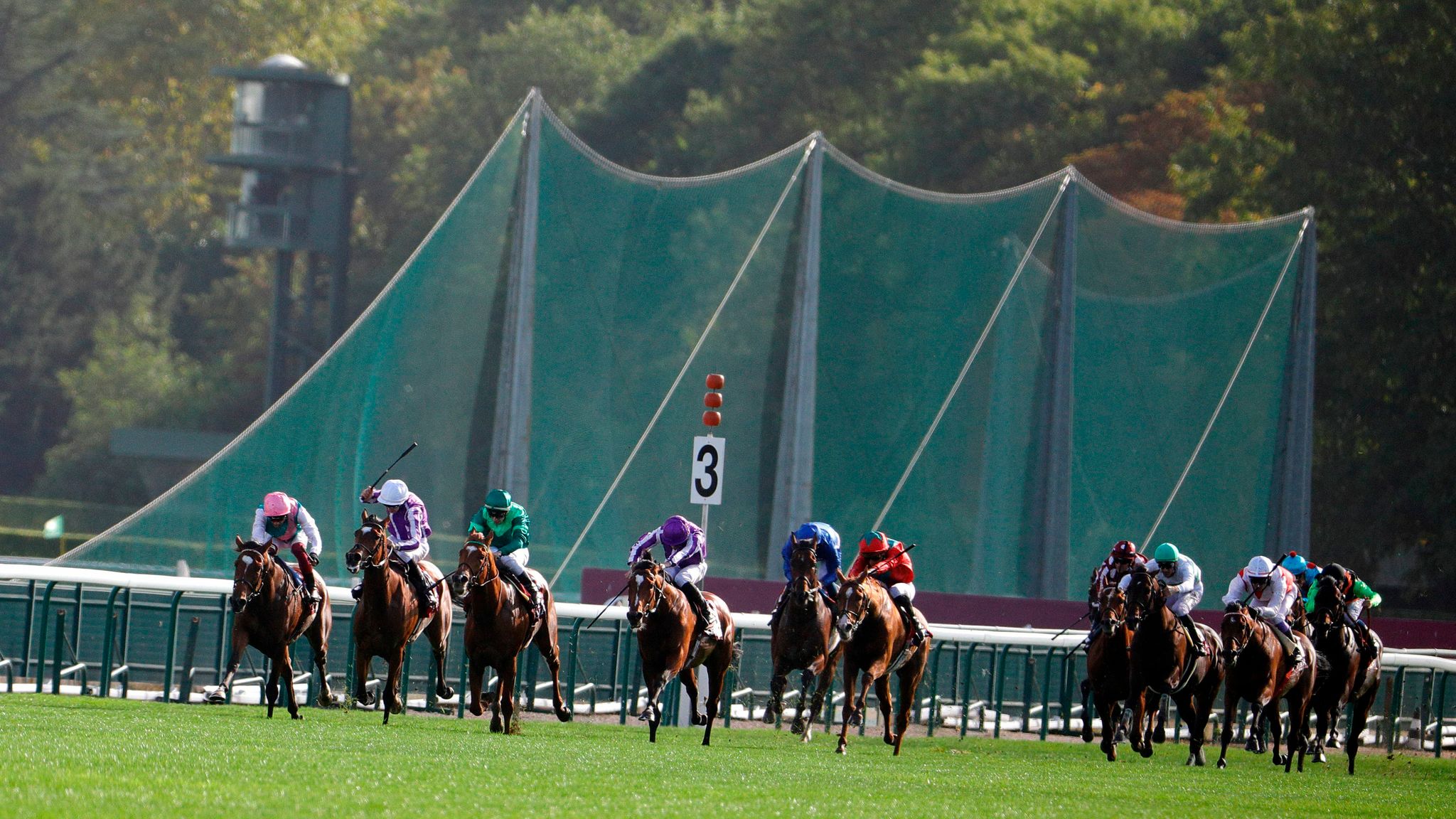 Today on Sky Sports Racing: Unbeaten colt starts Classic campaign in ...