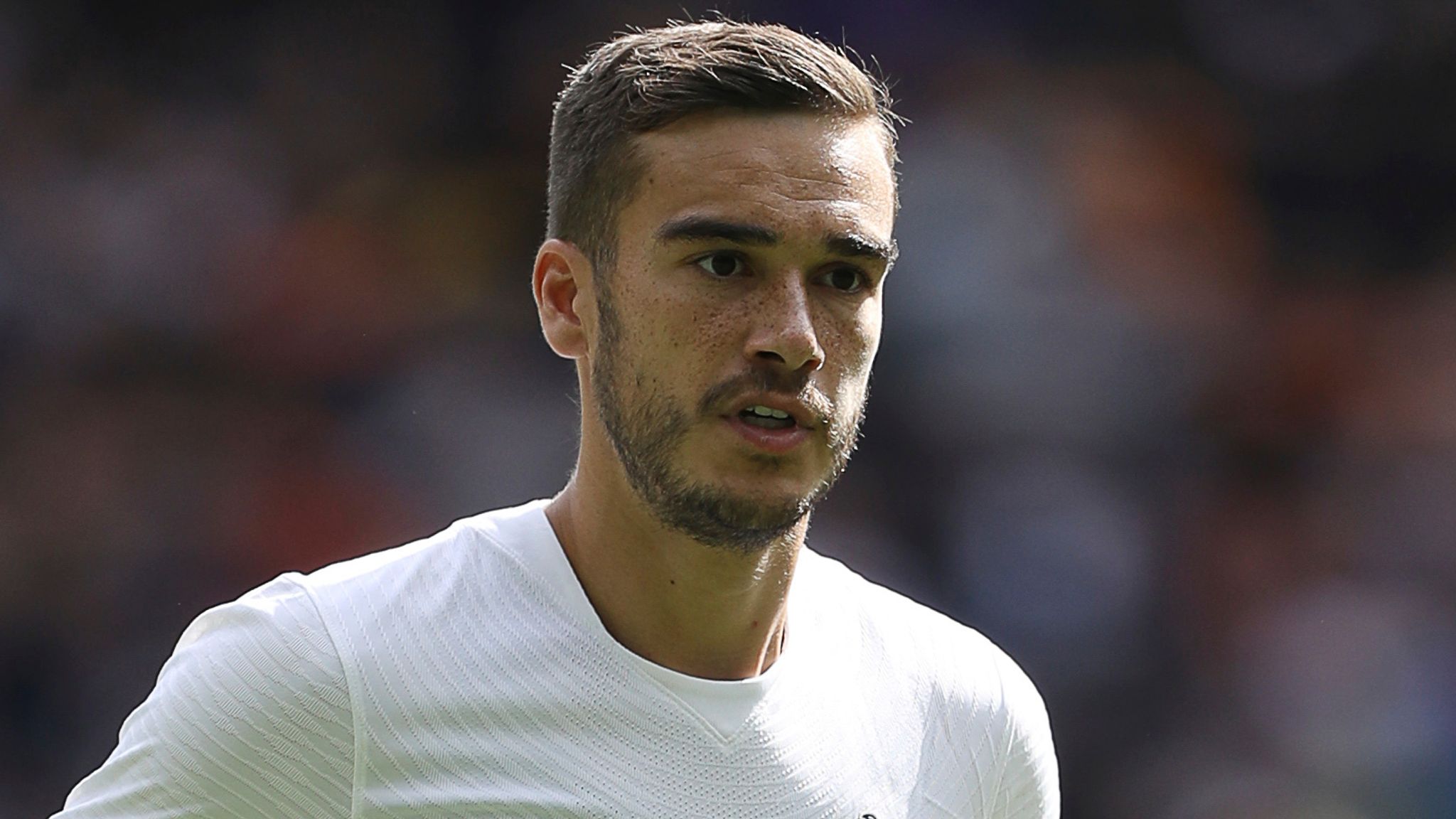 Harry Winks: Tottenham players meant to be competing for places but ...