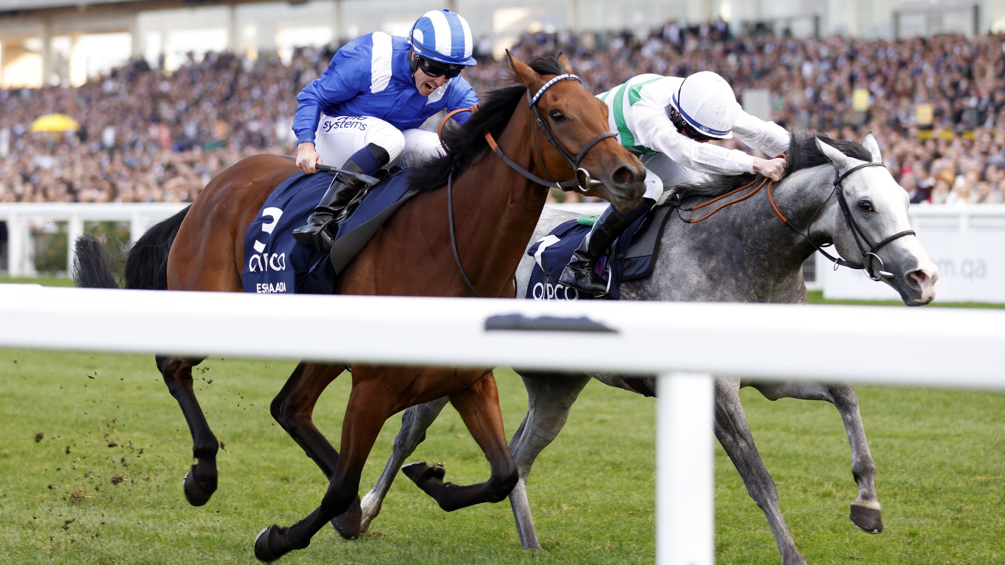 Chester May Festival: Ralph Beckett's Albaflora goes for Ormonde Stakes ...