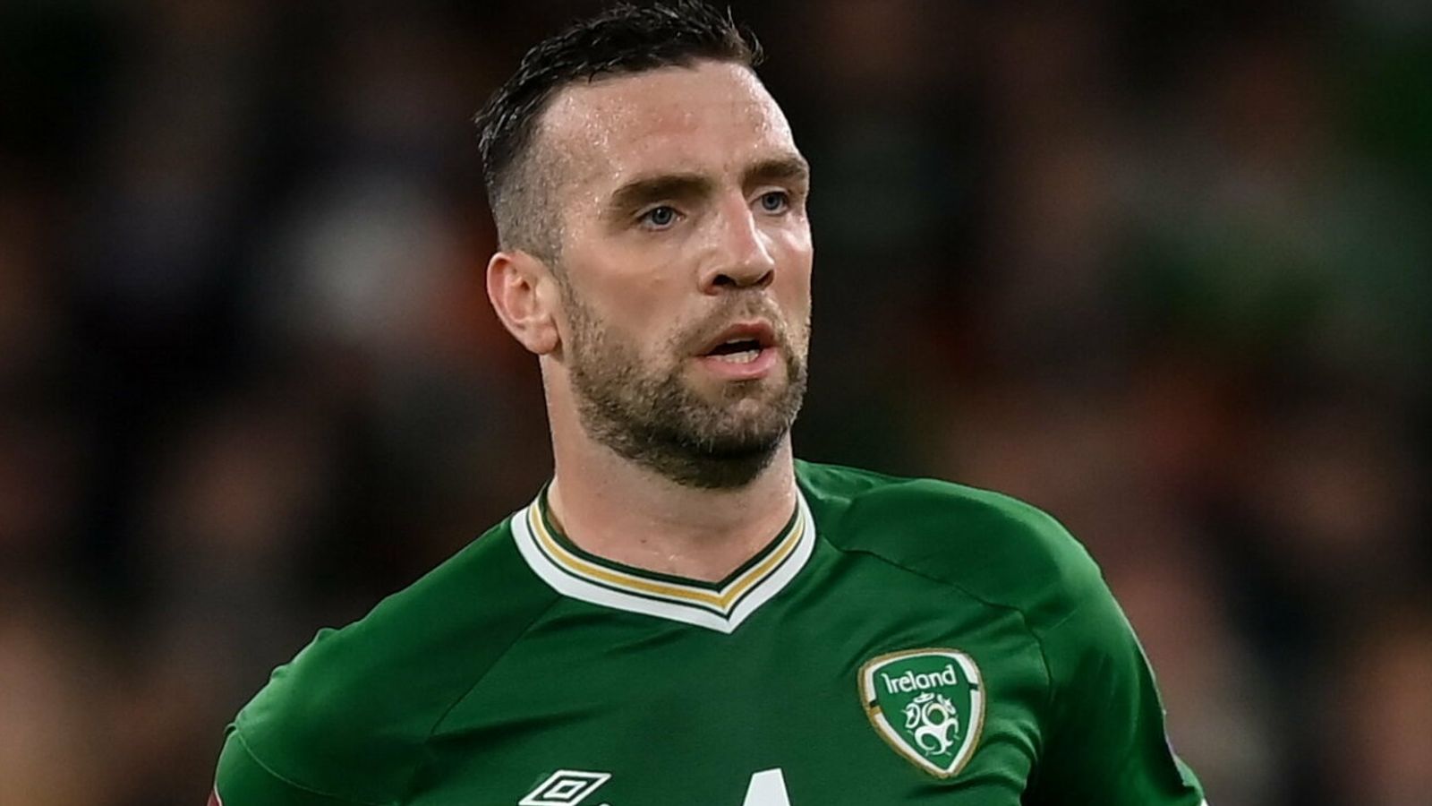 Shane Duffy wants ‘brilliant’ Stephen Kenny to remain as Republic of ...
