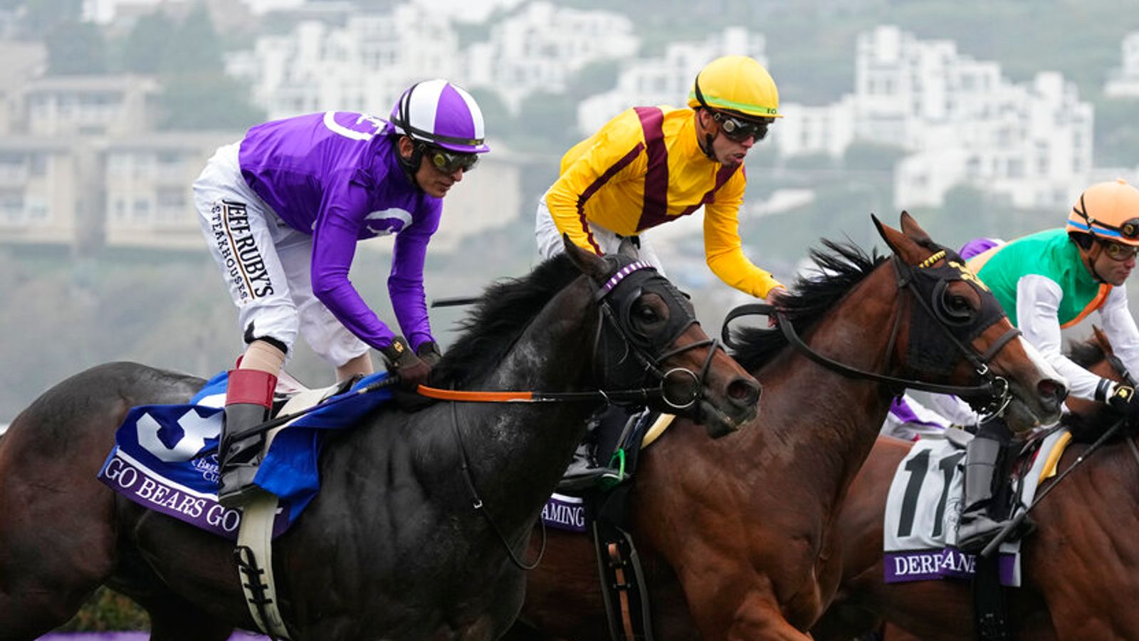 David Loughnane plots Commonwealth Cup target for Go Bears Go after ...