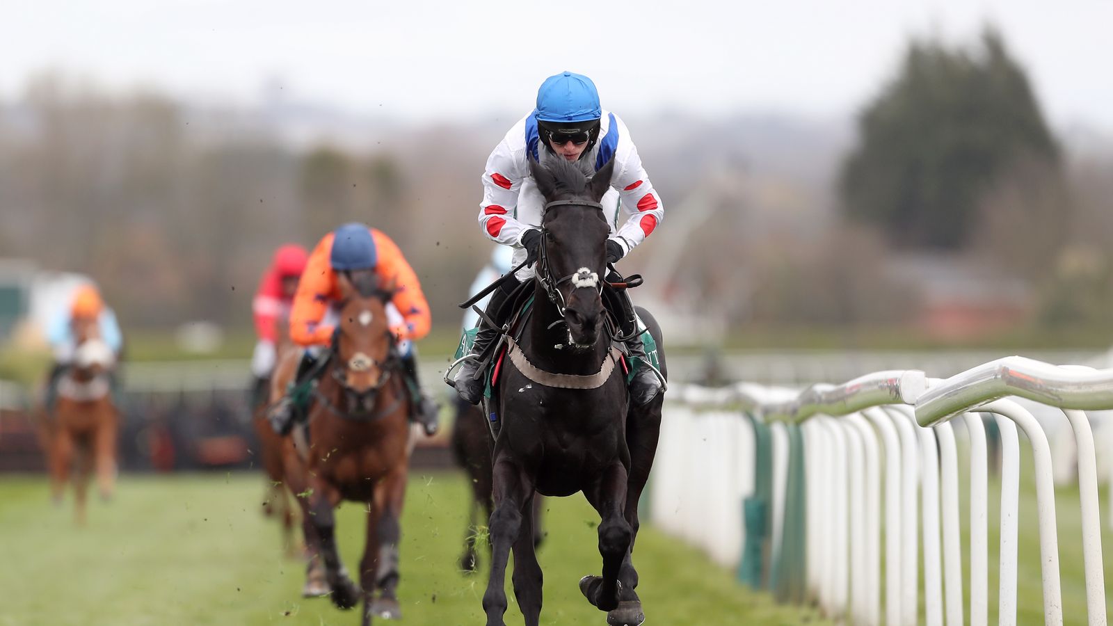 Bowen: Fighting Fifth a proper Grade One | Racing News | Sky Sports