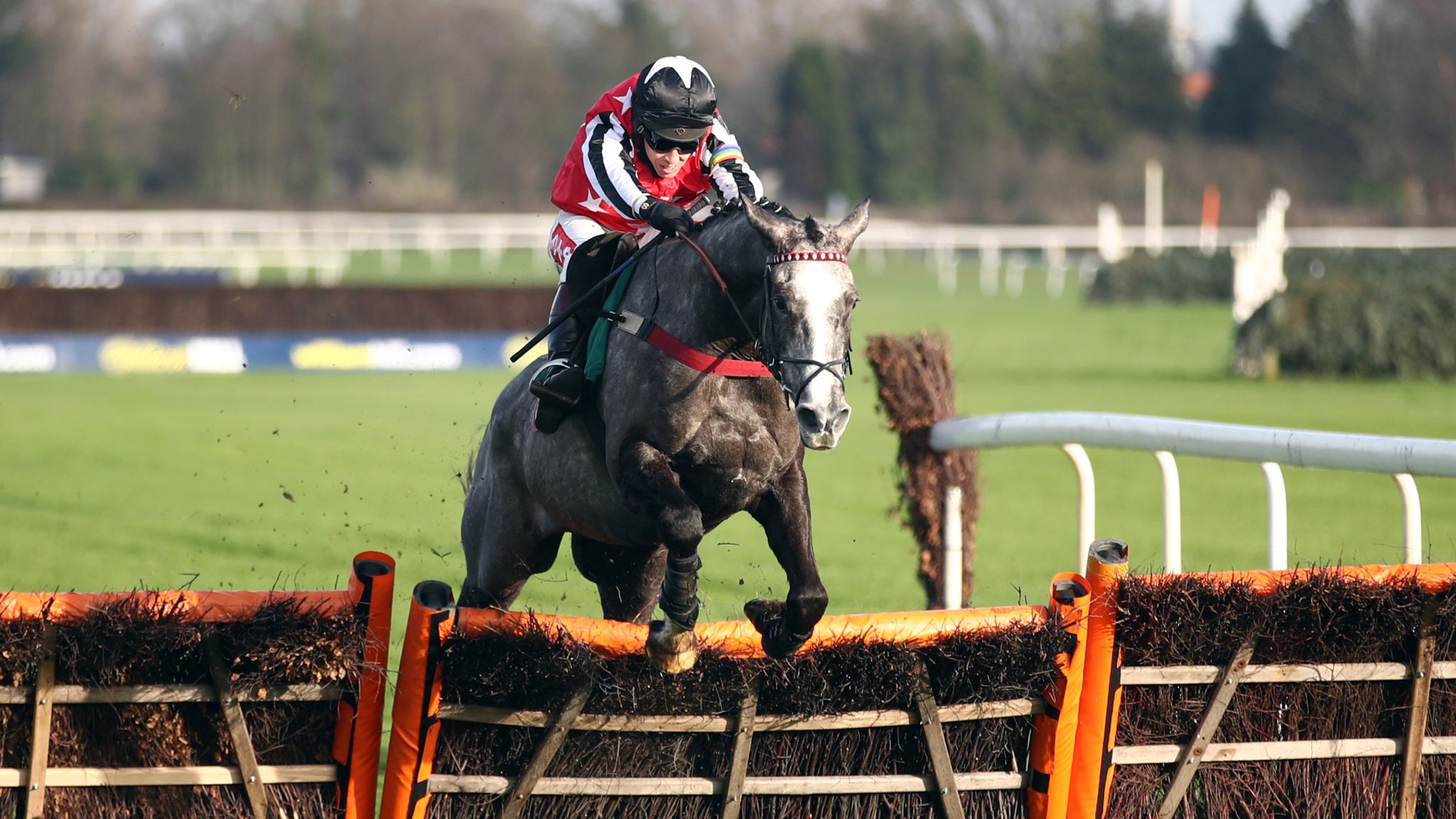 Greatwood Handicap Hurdle: Former salon owner Sheila Lewis sets sights ...