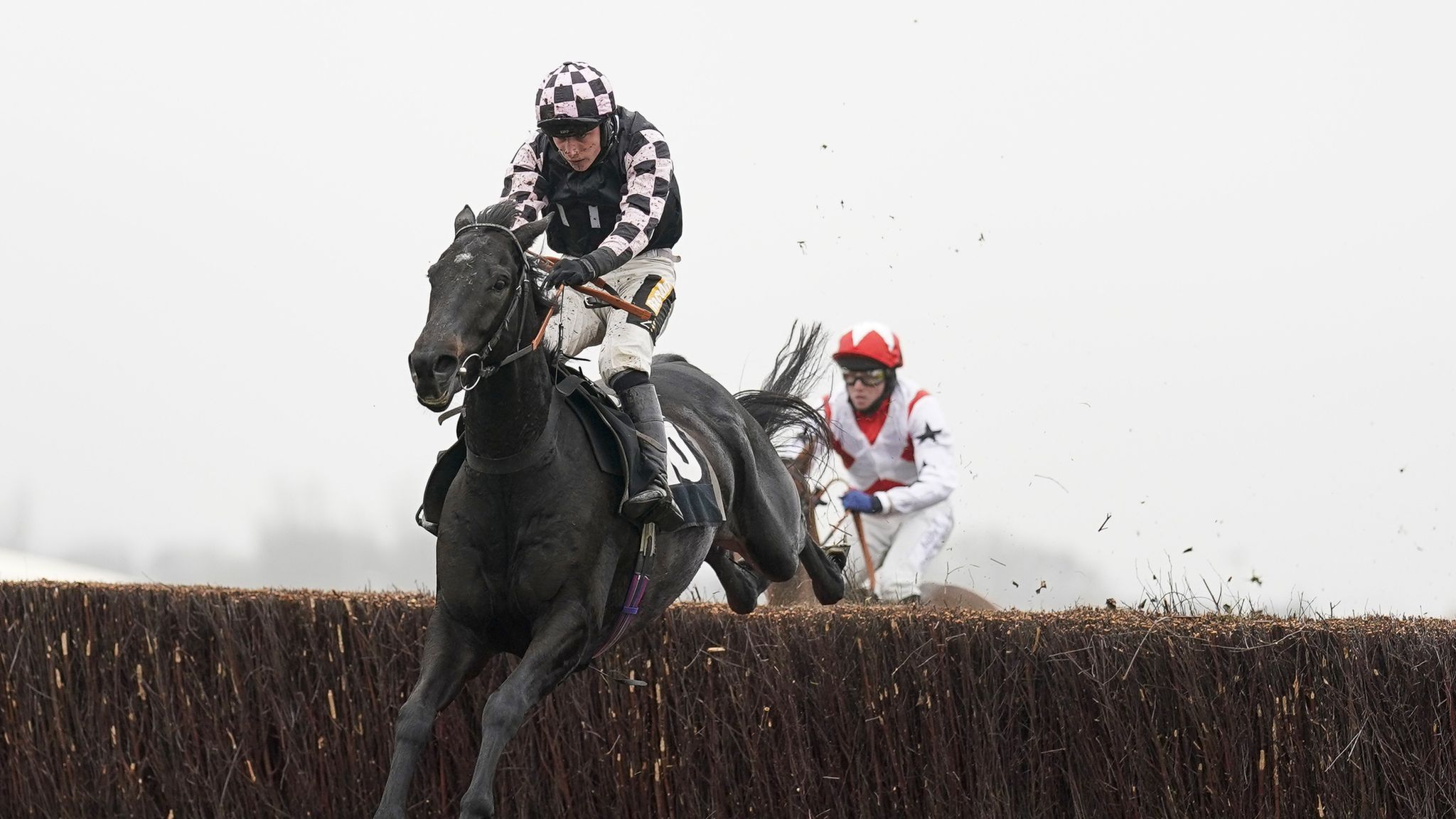 Sky Bet Chase Day: Vanessa Ryle gives her four horses to watch this ...