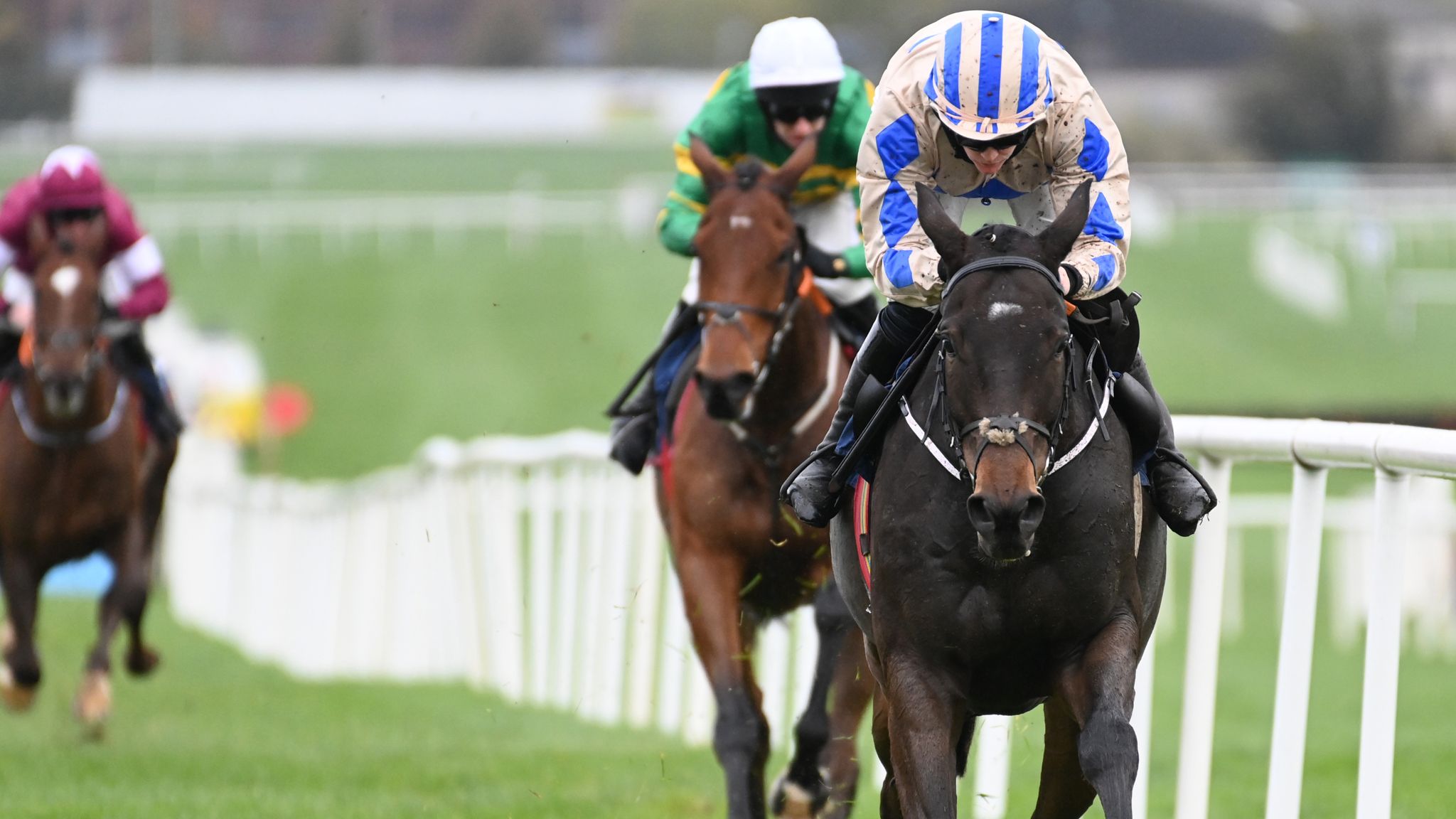 Tingle Creek: Runner-by-runner guide as Irish raiders Chacun Pour Soi ...