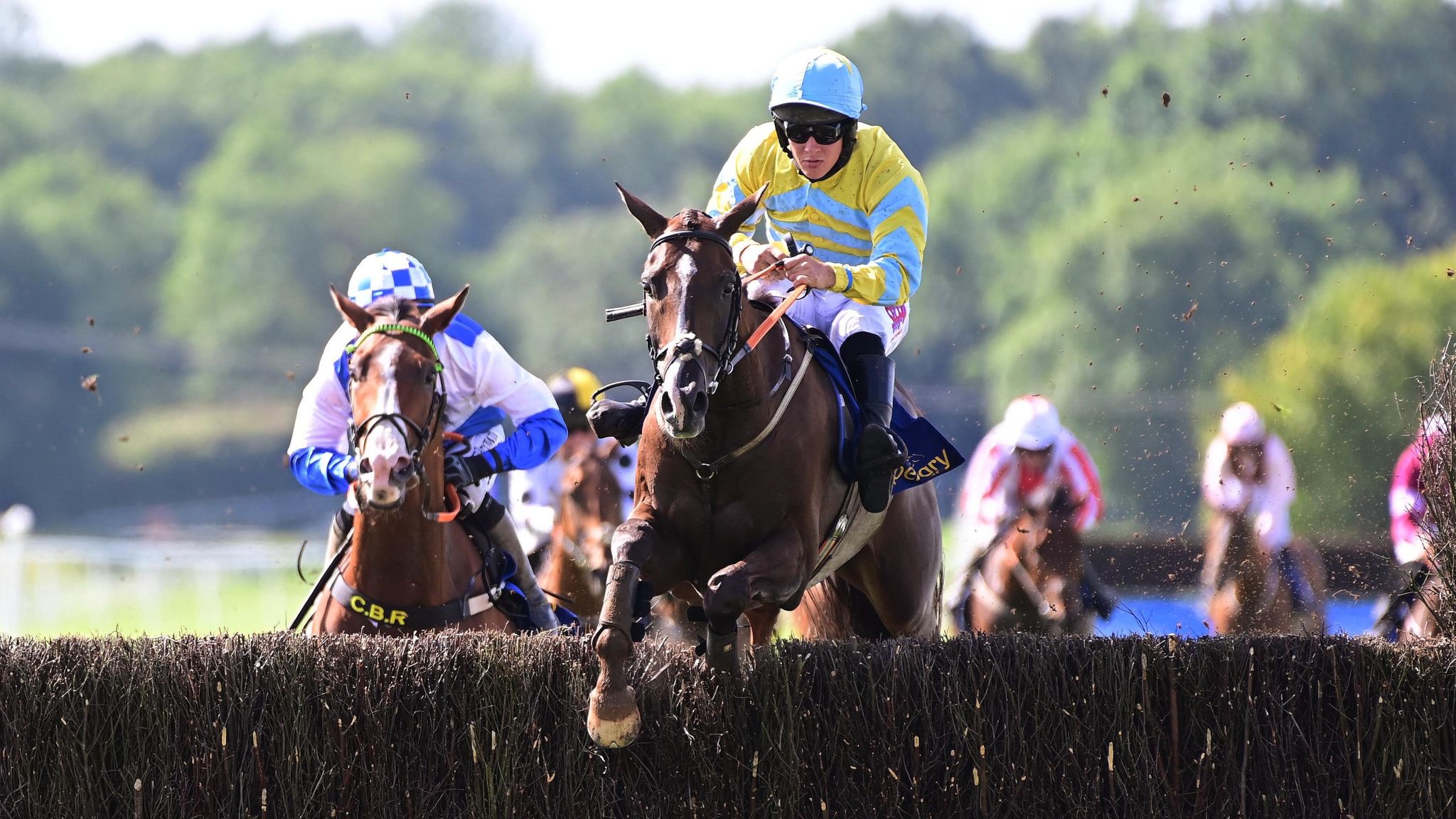 Paddy Power Gold Cup: Denis Hogan has Irish outsider Funky Dady in tune ...