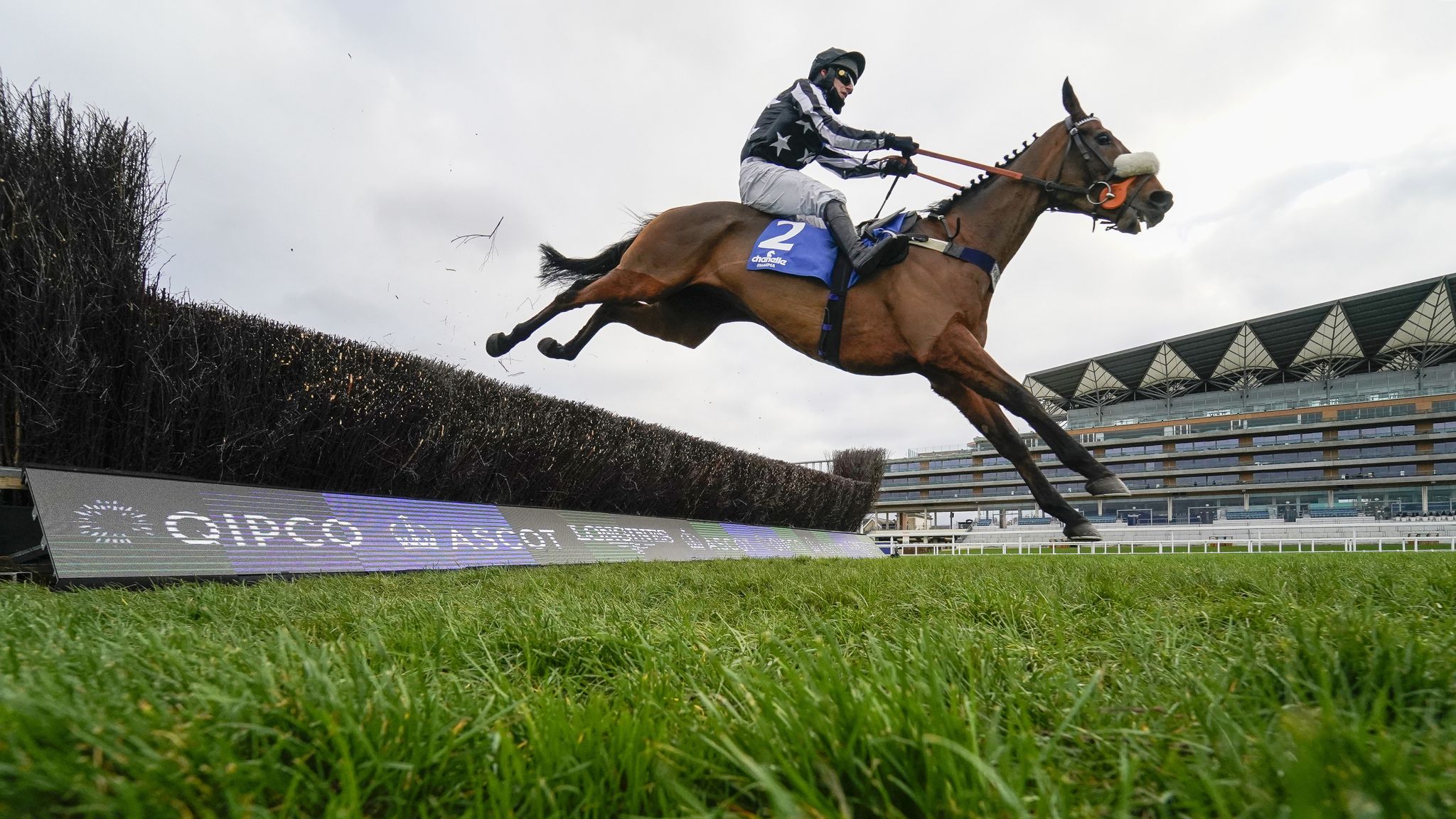 Kim Bailey: Step up in trip to suit Imperial Aura ahead of Betfair ...