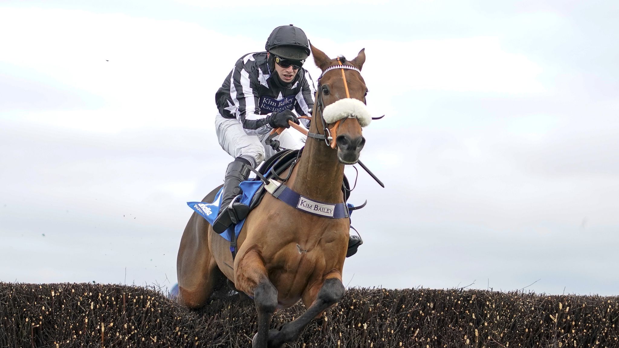 Imperial Aura to be given rest of season off following Newbury ...