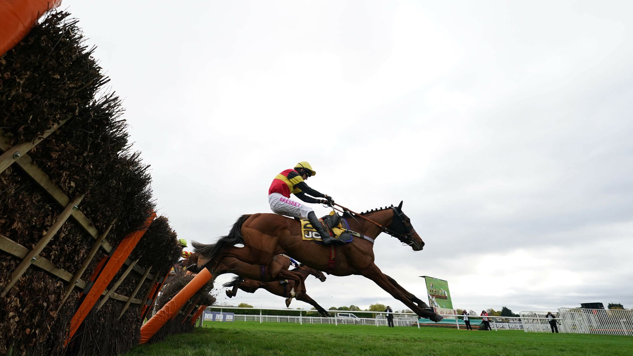 Summit Hurdle: Doncaster next step for exciting juvenile Knight Salute ...