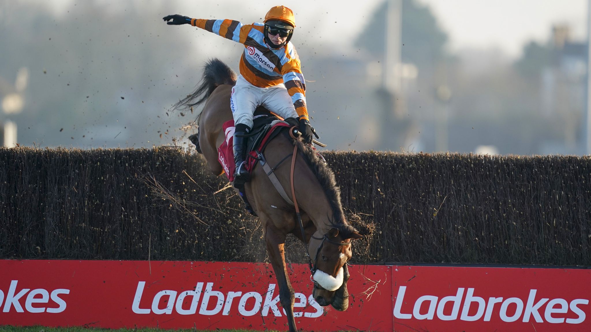 Chanelle Pharma 1965 Chase: Runner-by-runner guide as six head to Ascot ...