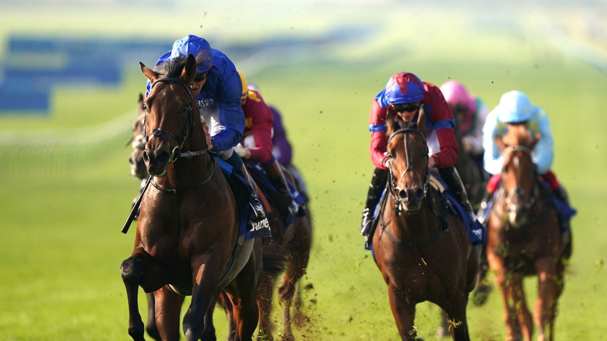 Native Trail crowned champion juvenile for 2021 after flawless two-year ...