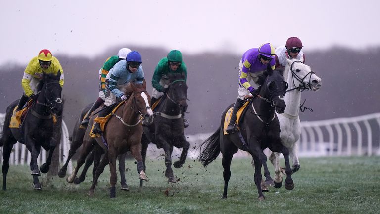 Fighting Fifth: Epatante and Not So Sleepy share spoils after dramatic ...