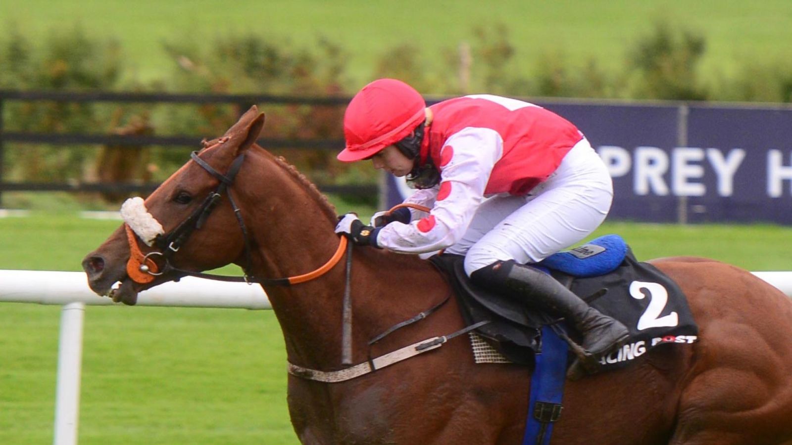 Supreme Novices' Hurdle: Lorna Fowler has Cheltenham ambitions for ...